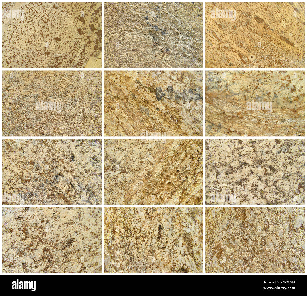 Twelve Natural Limestone Background or textures. The real color ...