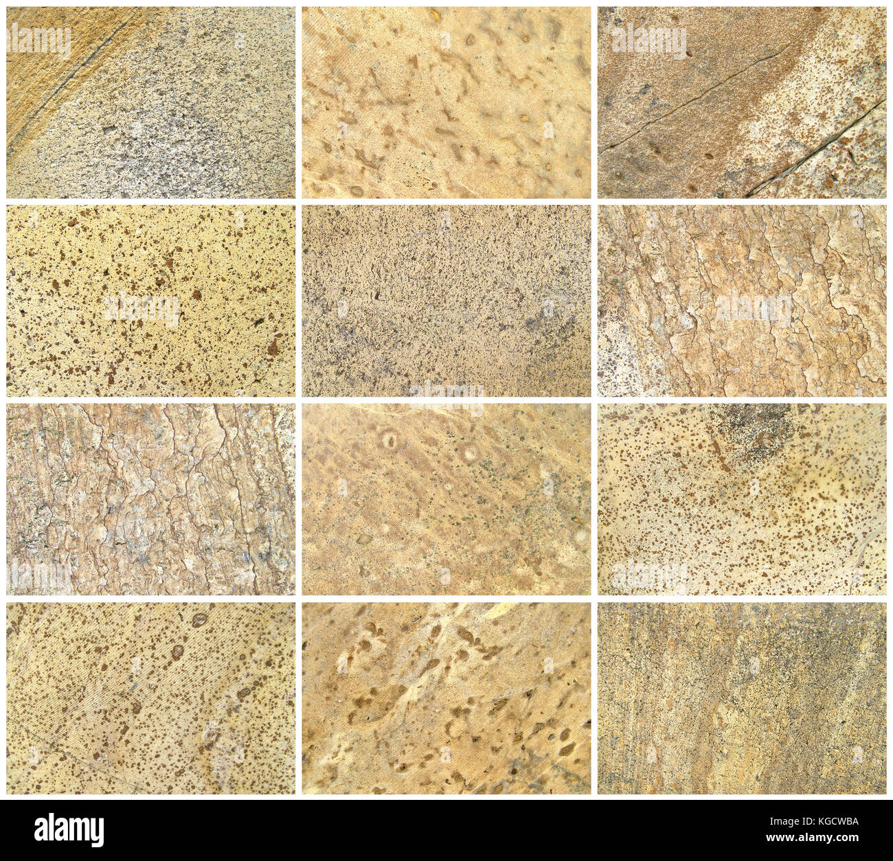 Twelve Natural Limestone Background or textures. The real color ...