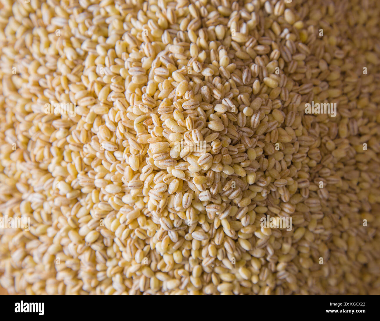 Close Up Barley Seeds High Resolution Stock Photography and Images - Alamy