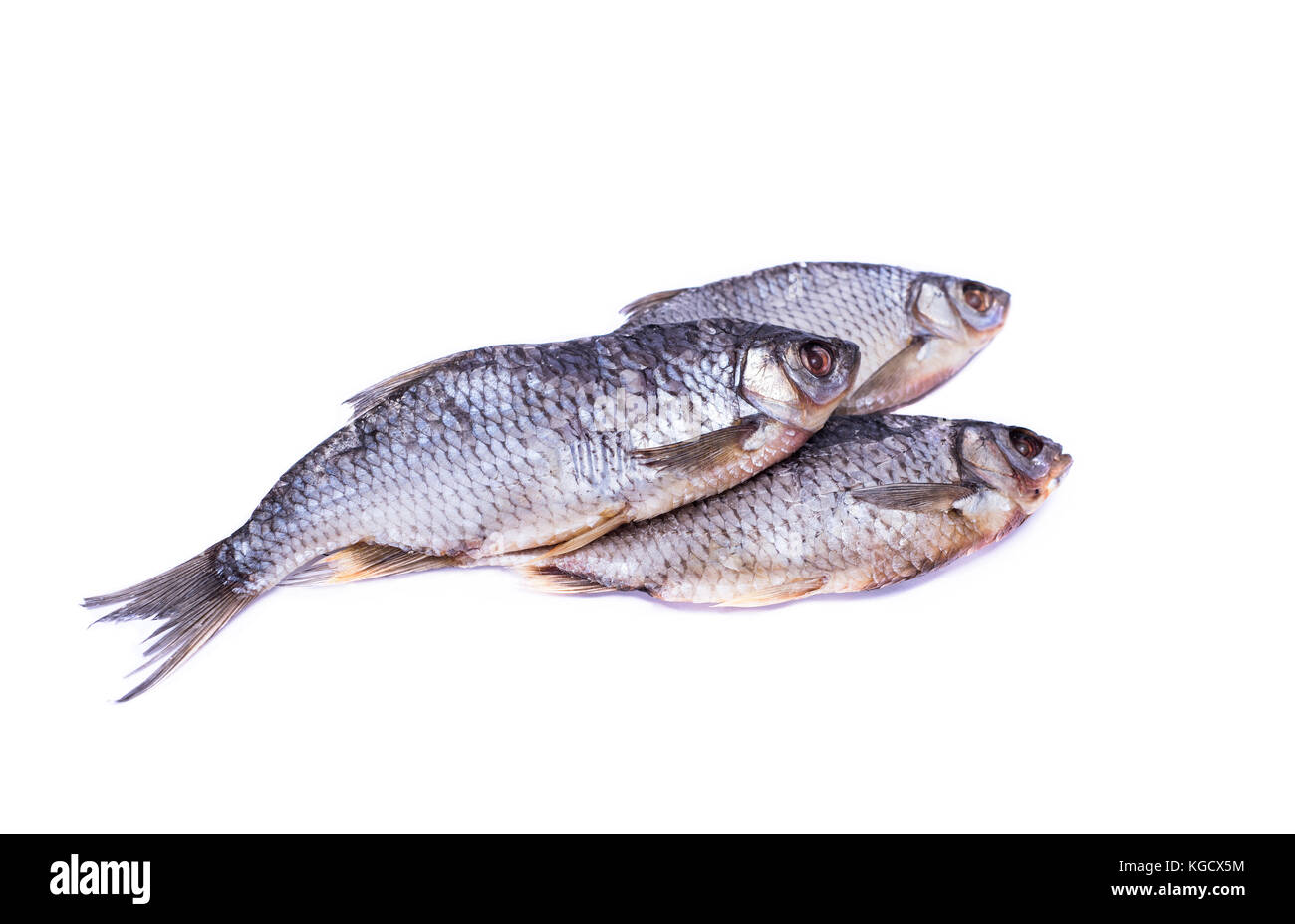 Three salted dried fish roach on a white background Stock Photo - Alamy