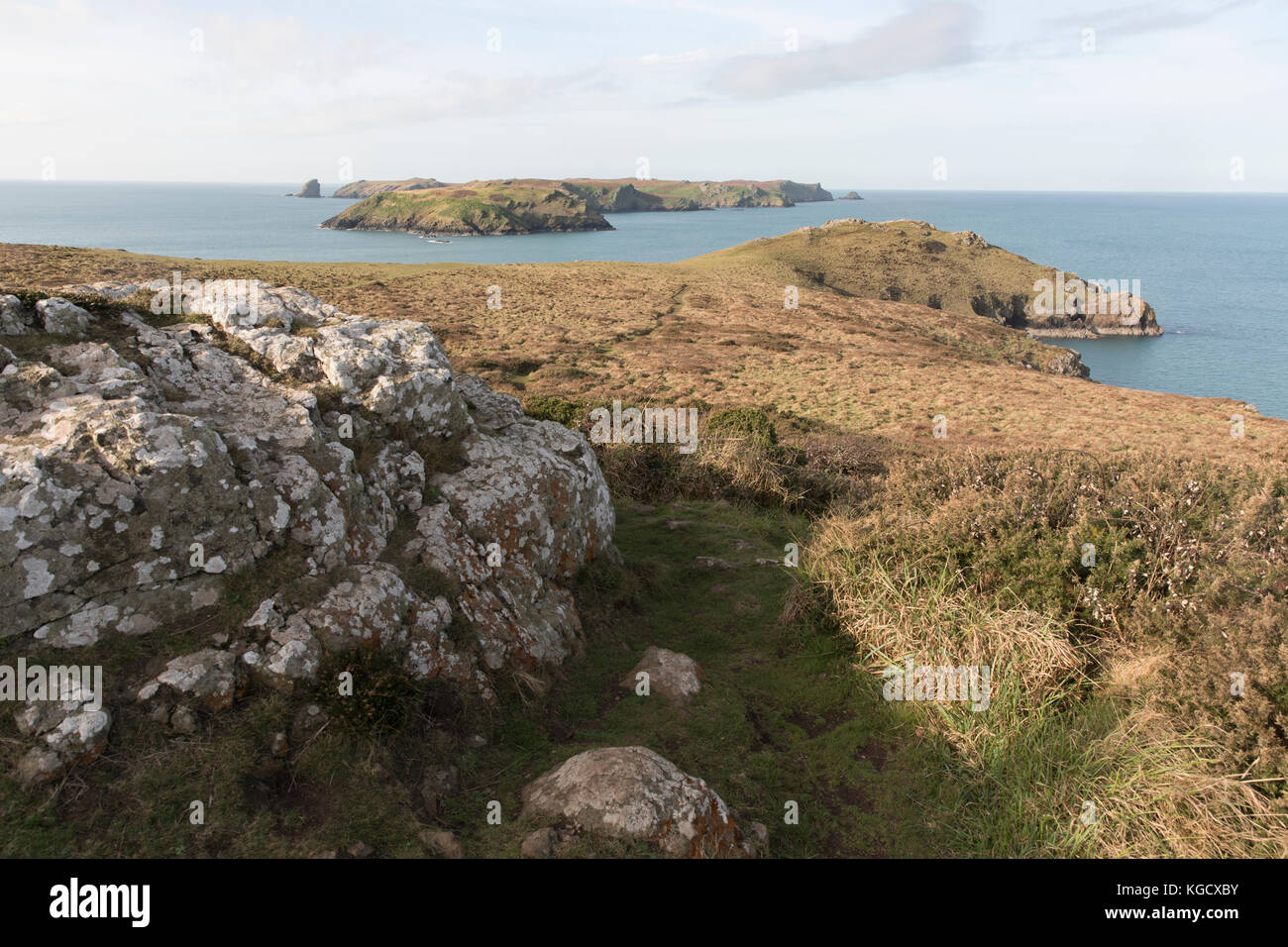 Skomer island taken from Wooltack Point, Pembrokeshire, Wales, UK Stock ...
