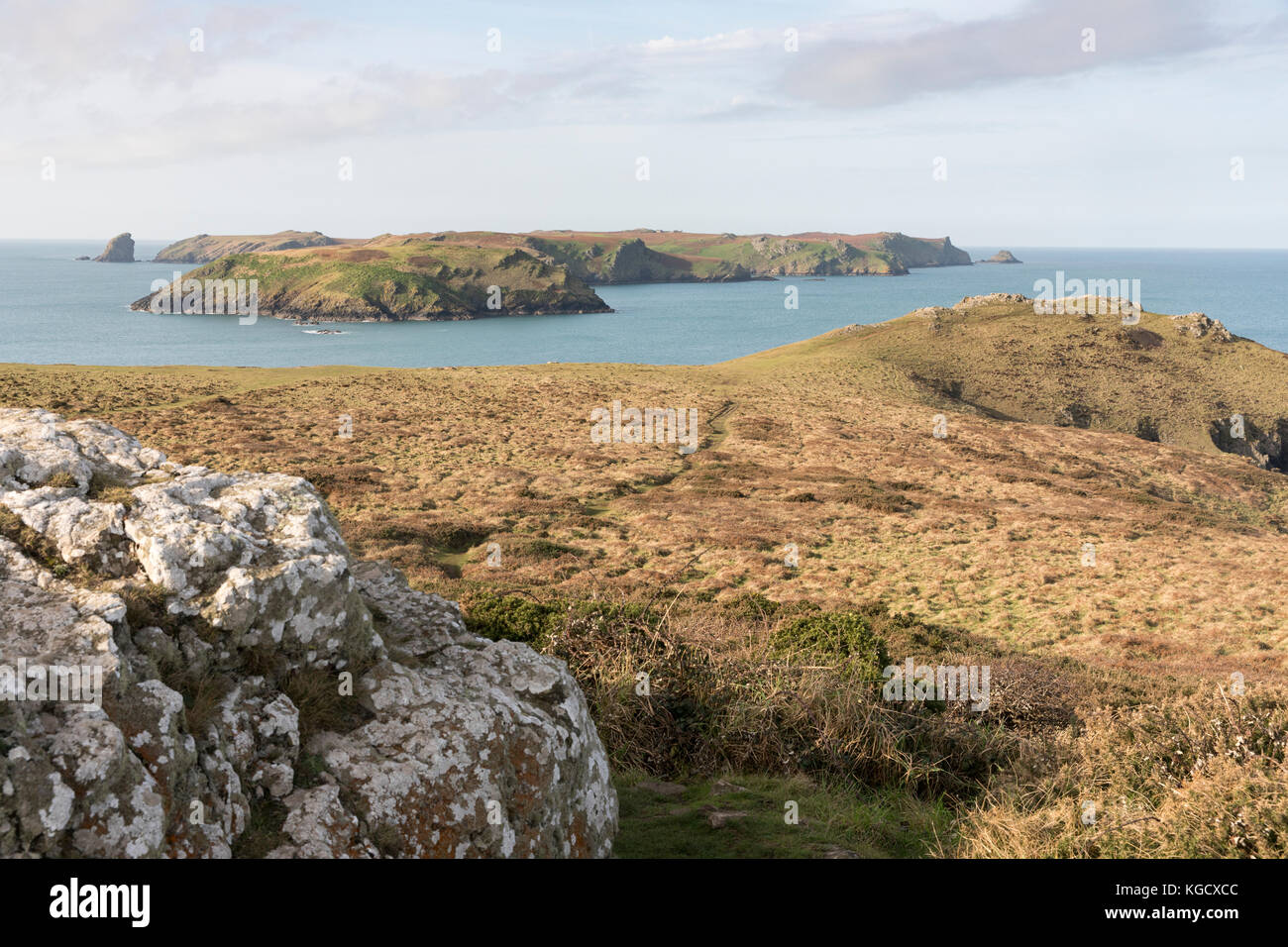 Skomer island taken from Wooltack Point, Pembrokeshire, Wales, UK Stock ...