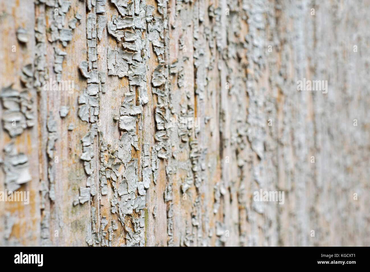White brushed wooden pine hi-res stock photography and images - Alamy