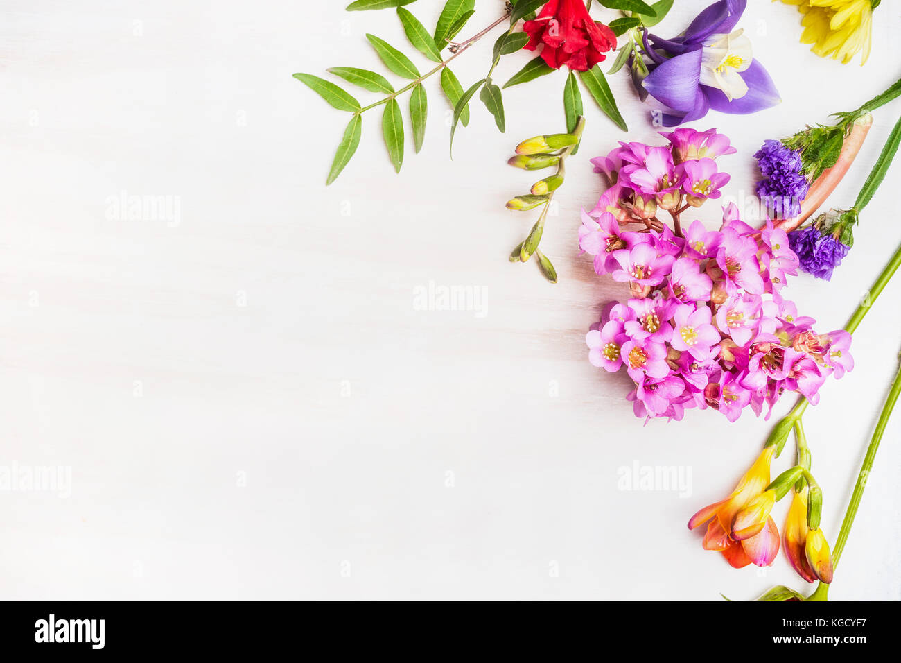fresh colorful spring flowers, Border, place for text Stock Photo - Alamy