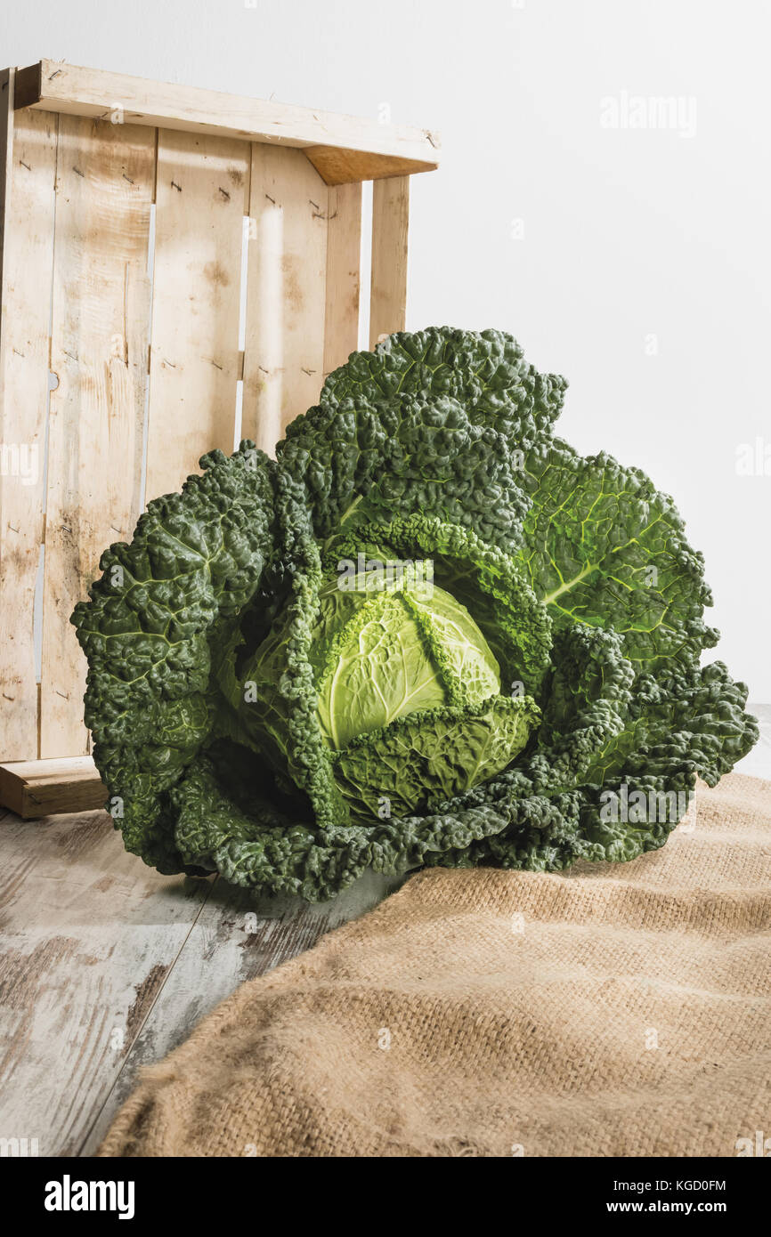 cabbage on vertical table 4 Stock Photo - Alamy