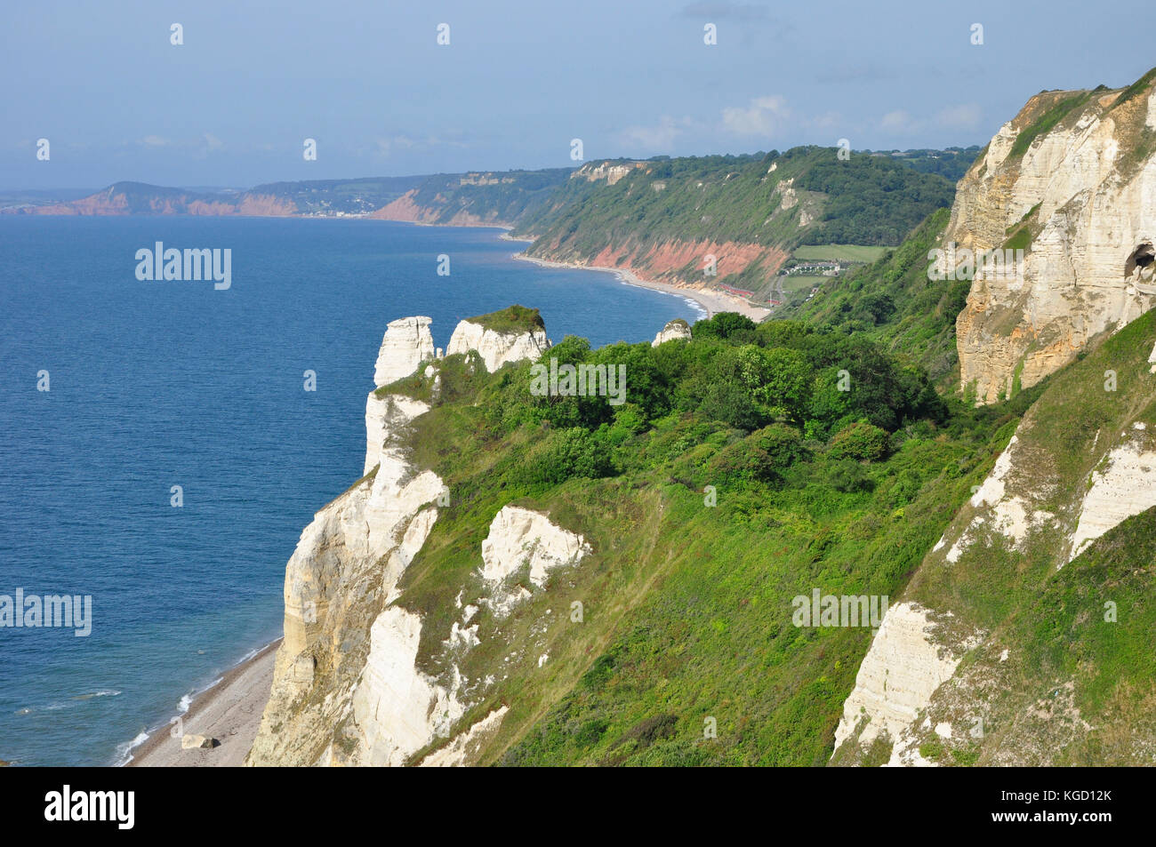 Beer Head looking towards Branscombe Mouth,the undercliff is a nature ...
