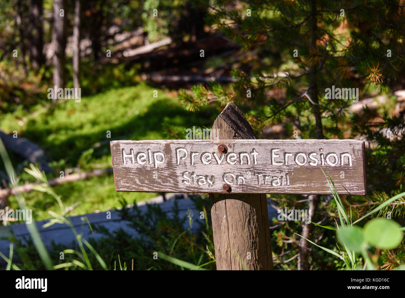 Prevent soil erosion hi-res stock photography and images - Alamy