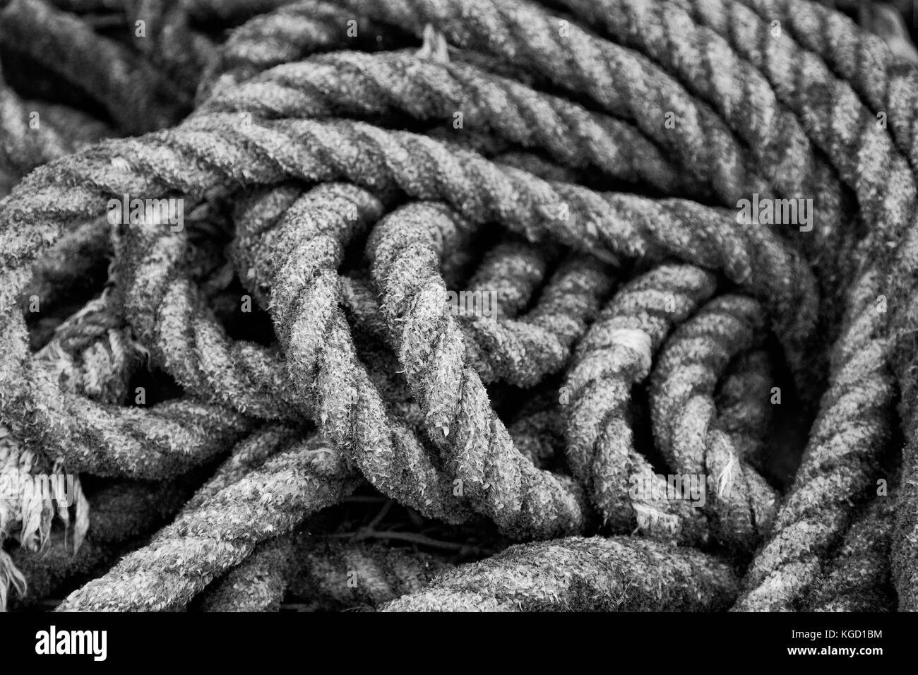 Segelboot seil hi-res stock photography and images - Alamy