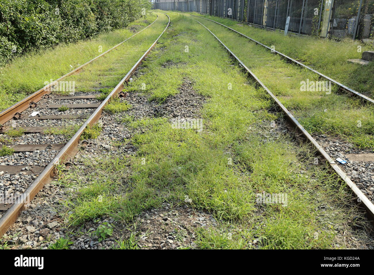 railroad getting covered by growing grasses Stock Photo - Alamy