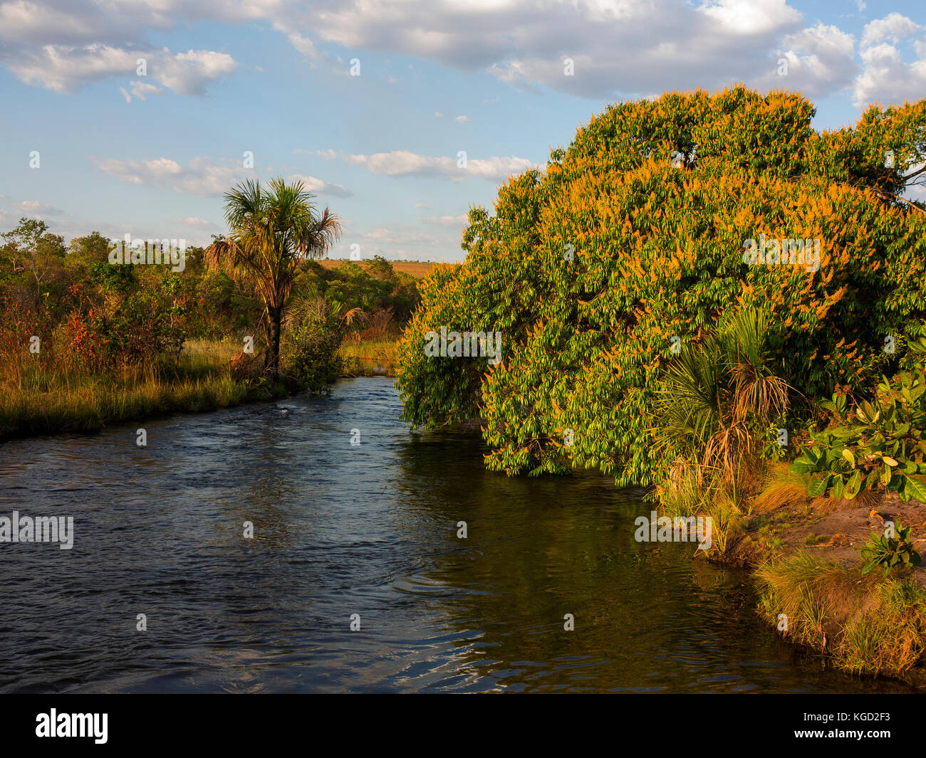 Tocantins rio brazil hi-res stock photography and images - Alamy