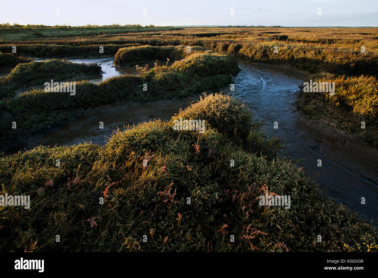 Essex Marshes High Resolution Stock Photography and Images - Alamy