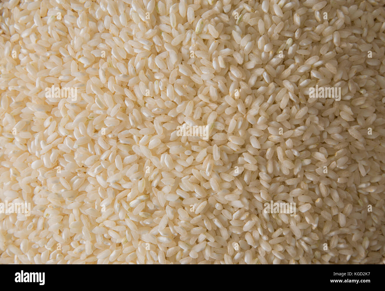 Rice seen from close up Stock Photo - Alamy