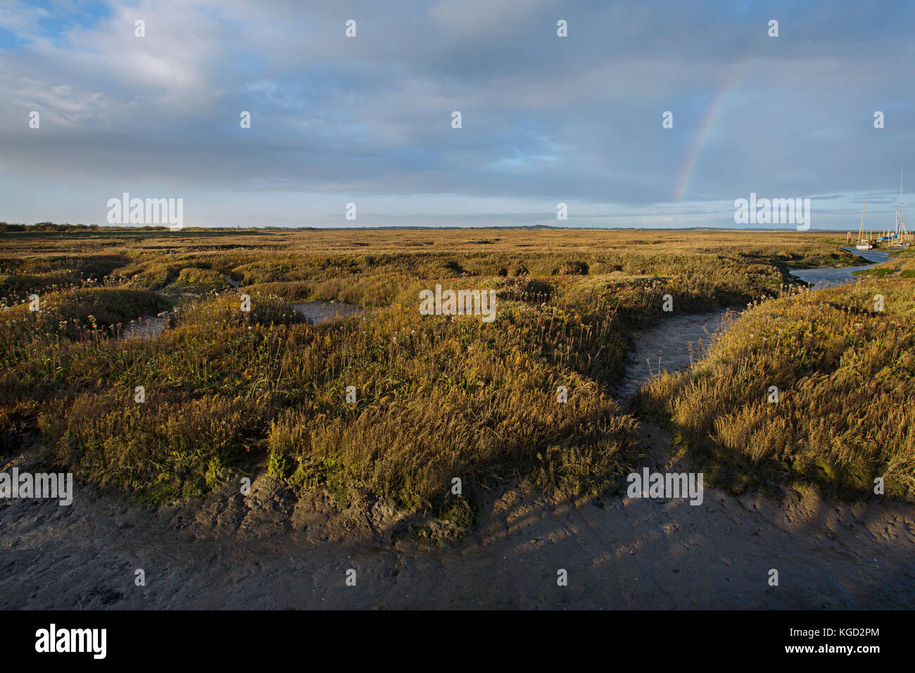 Marshes of Tollusbury in Essex. Wet land for wild life Stock Photo - Alamy
