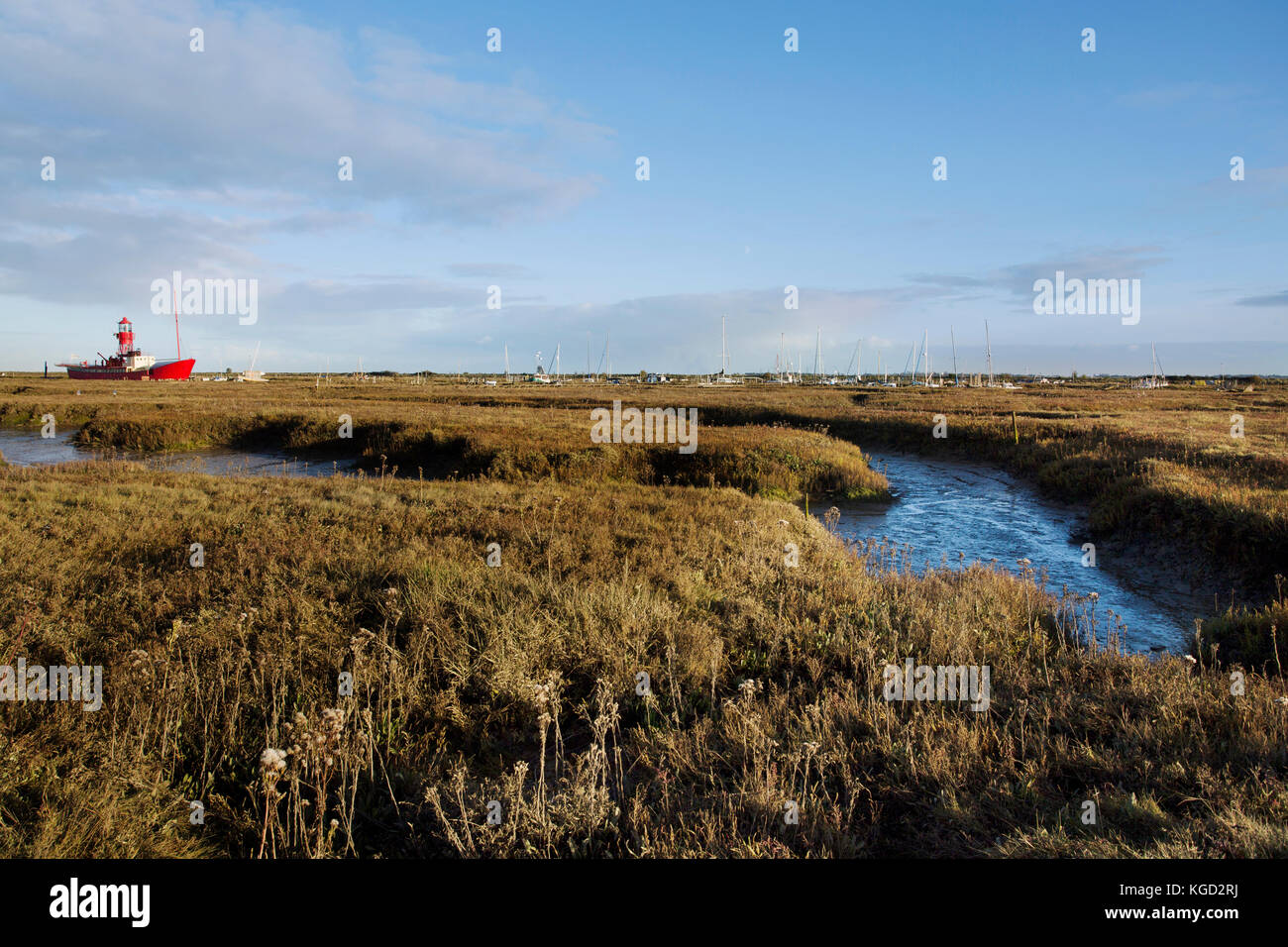 Essex marshes hi-res stock photography and images - Alamy
