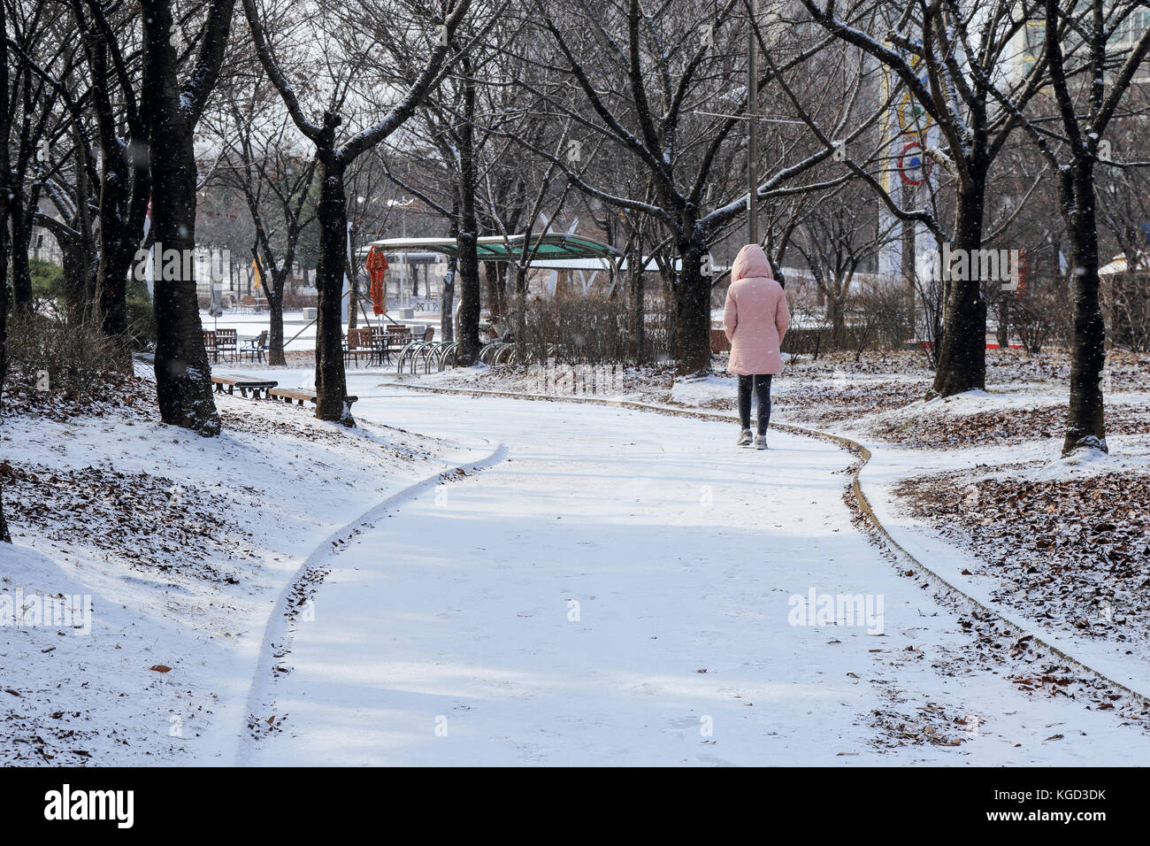 A female walking through a park on a snowy day Stock Photo - Alamy