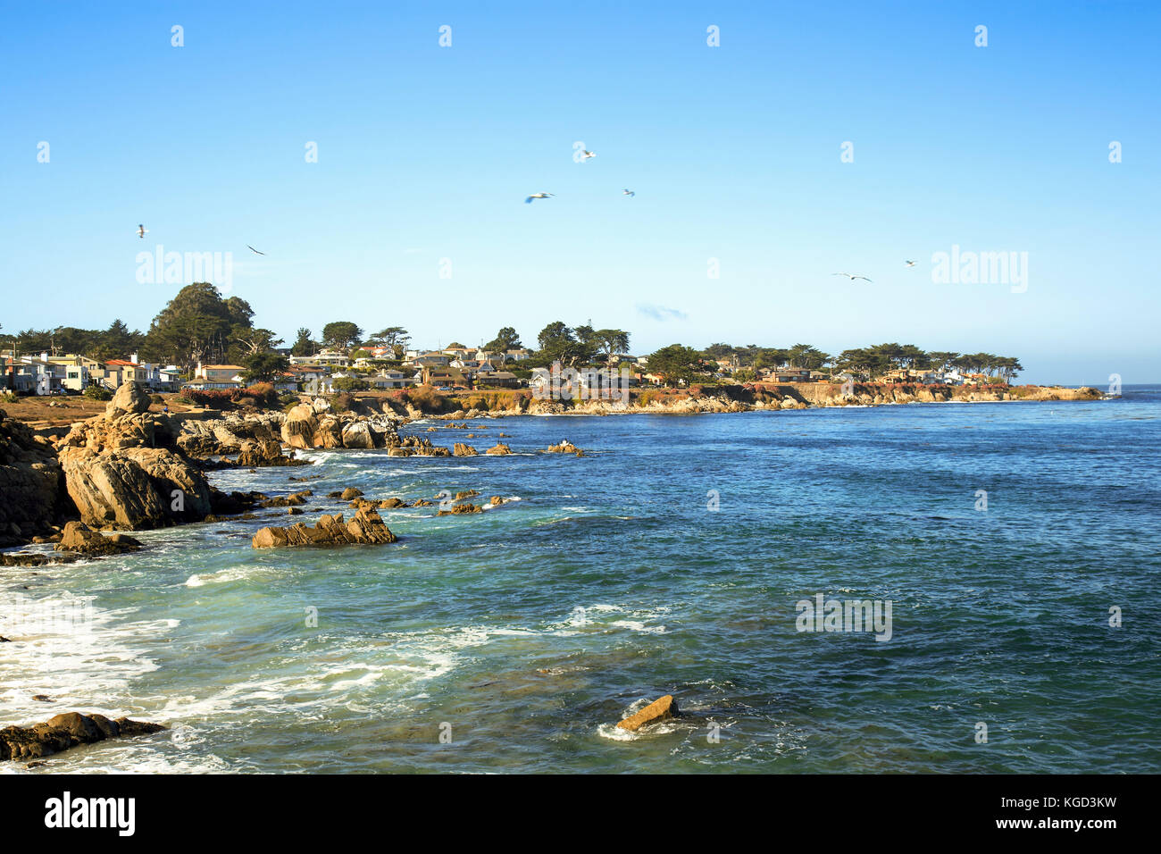 Pacific grove hi-res stock photography and images - Alamy
