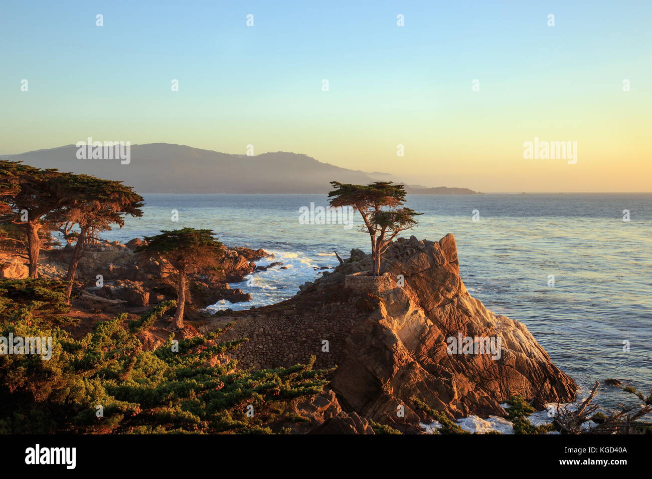 The lone cypress Stock Photo - Alamy