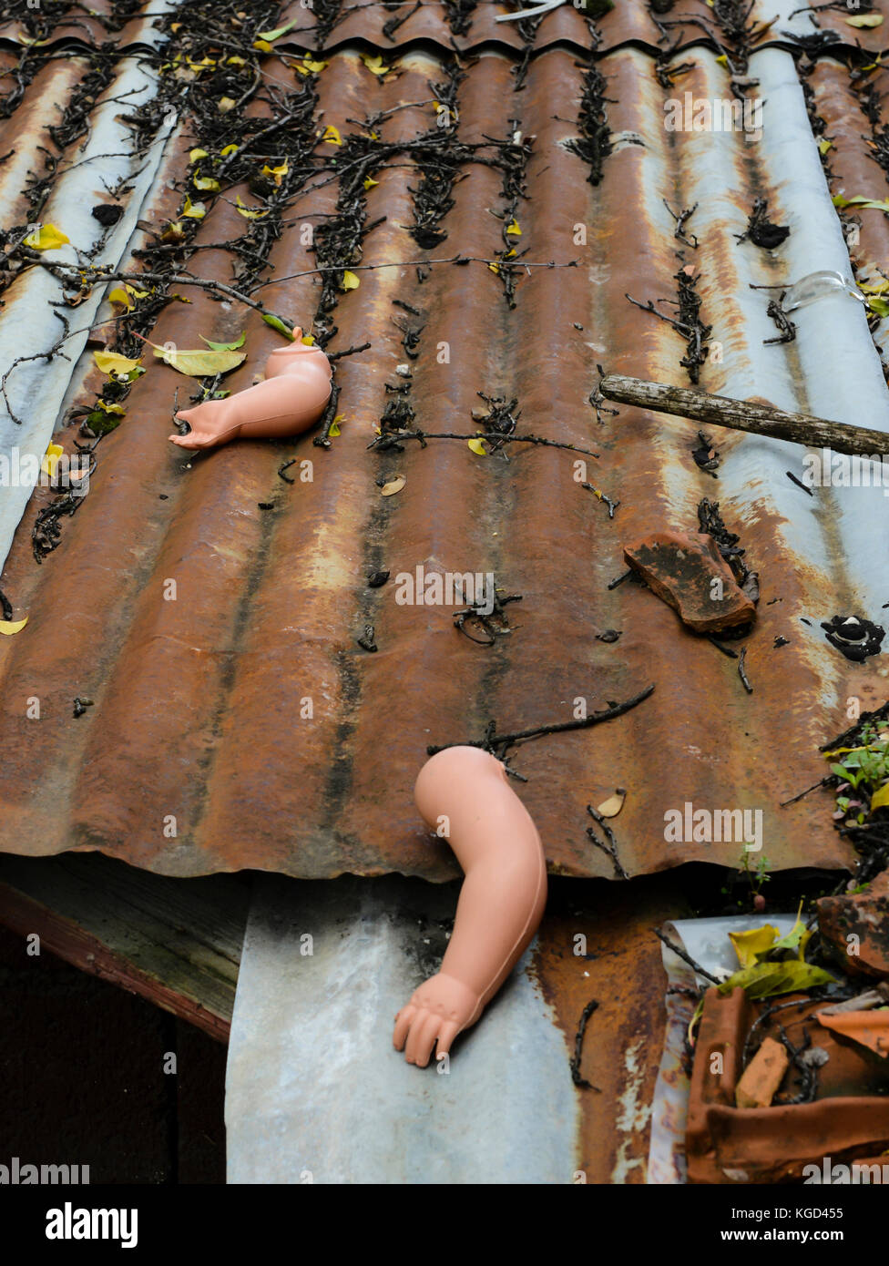 Broken doll hi-res stock photography and images - Alamy