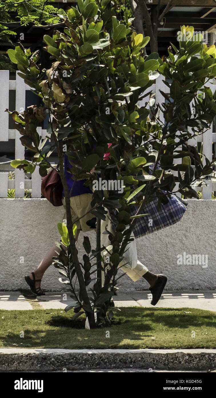 The legs of two ladies cross behind a bush Stock Photo - Alamy
