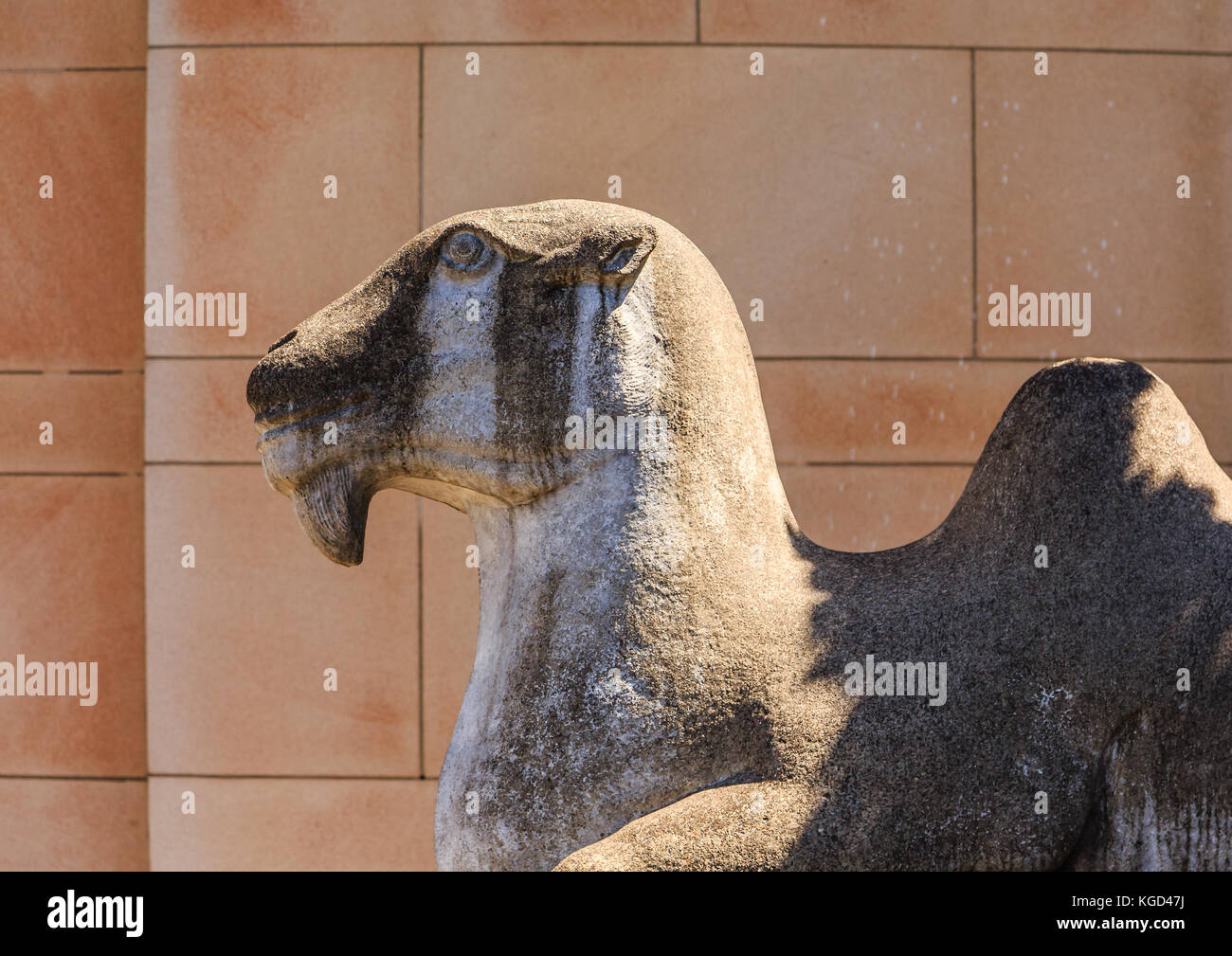 A concrete camel statue in a public park Stock Photo - Alamy