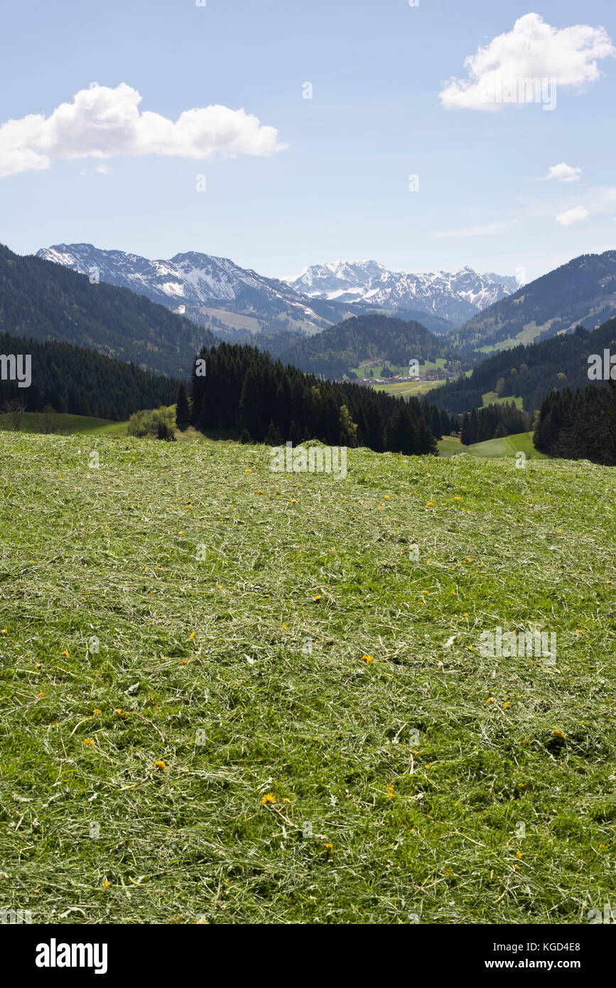 Mowed area hi-res stock photography and images - Alamy