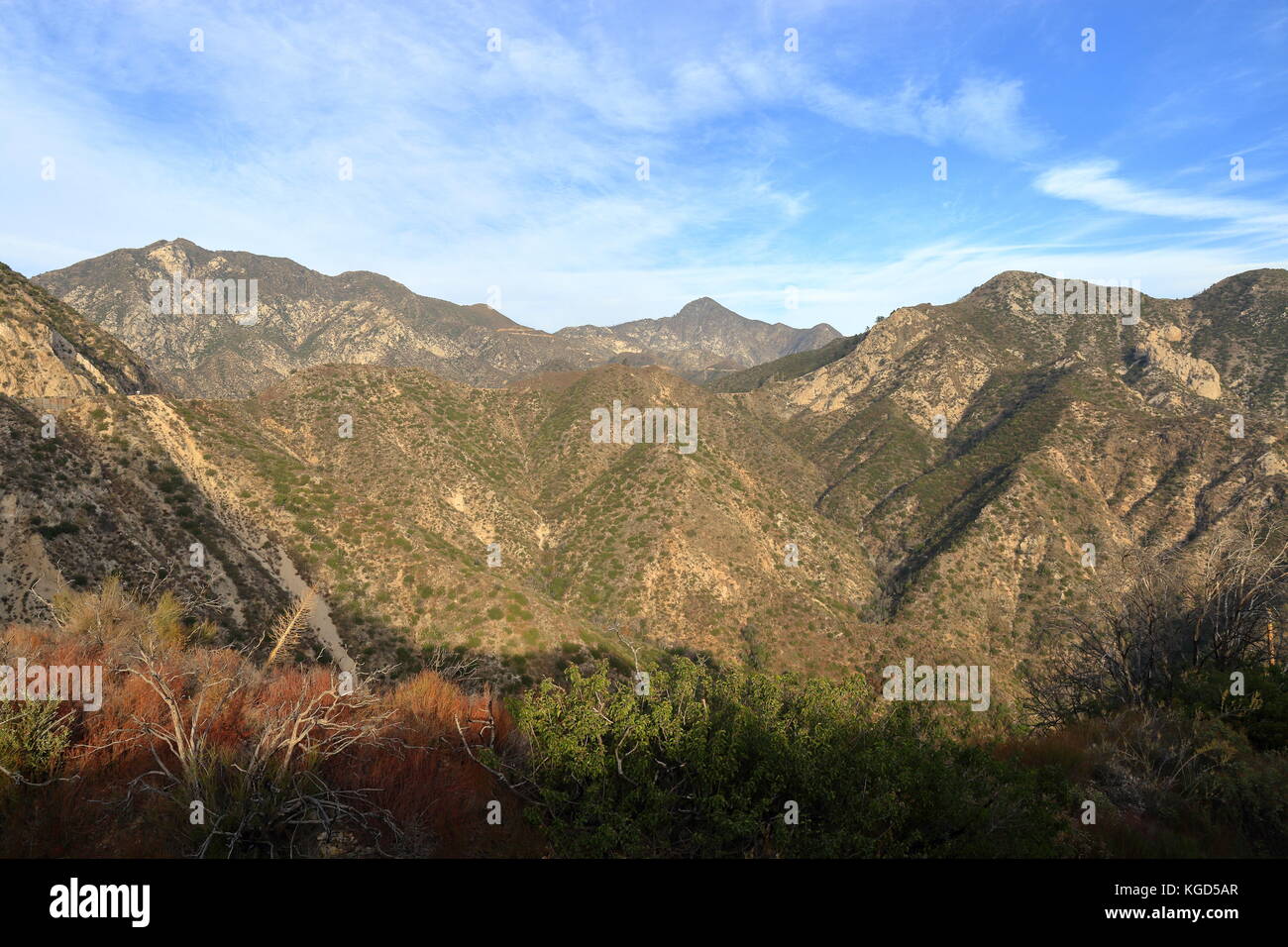 Angeles Nation Forest, Arcadia California Stock Photo - Alamy