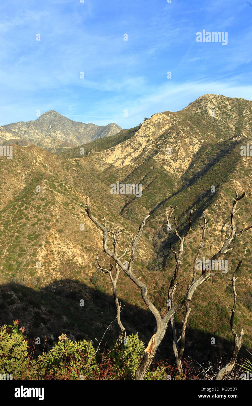 Angeles national forest hi-res stock photography and images - Alamy