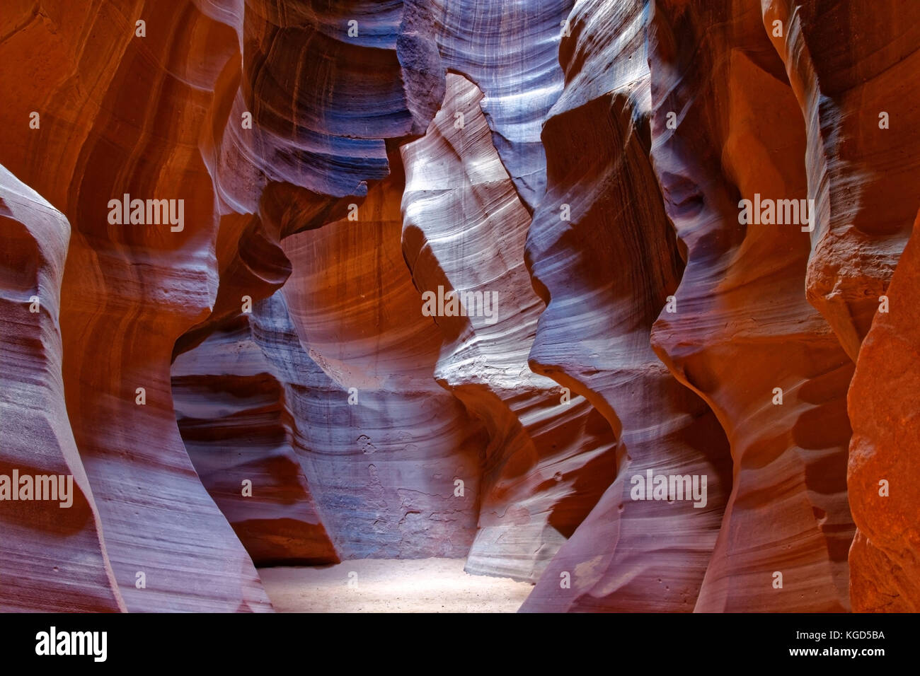 Natural patterns and intricate features of the distinctive rock ...