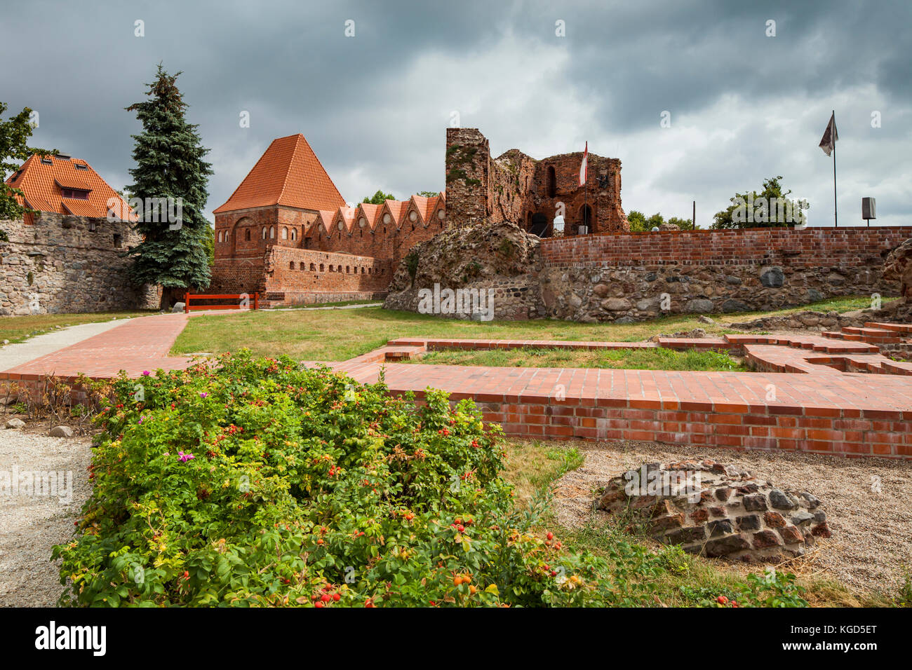 Ruins of Teutonic castle in Torun Stock Photo - Alamy