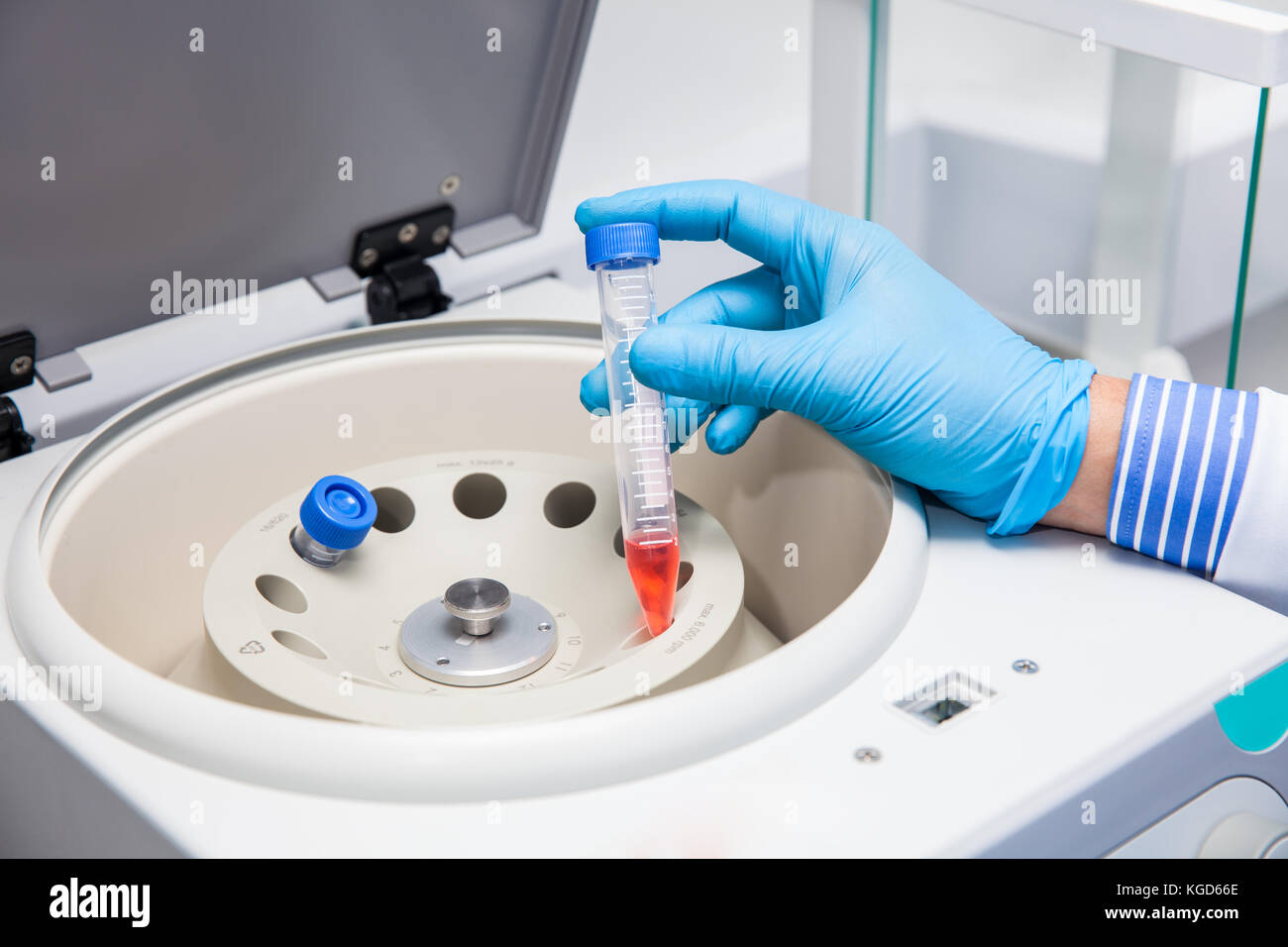 Scientist inserting a tube in a laboratory centrifuge Stock Photo - Alamy
