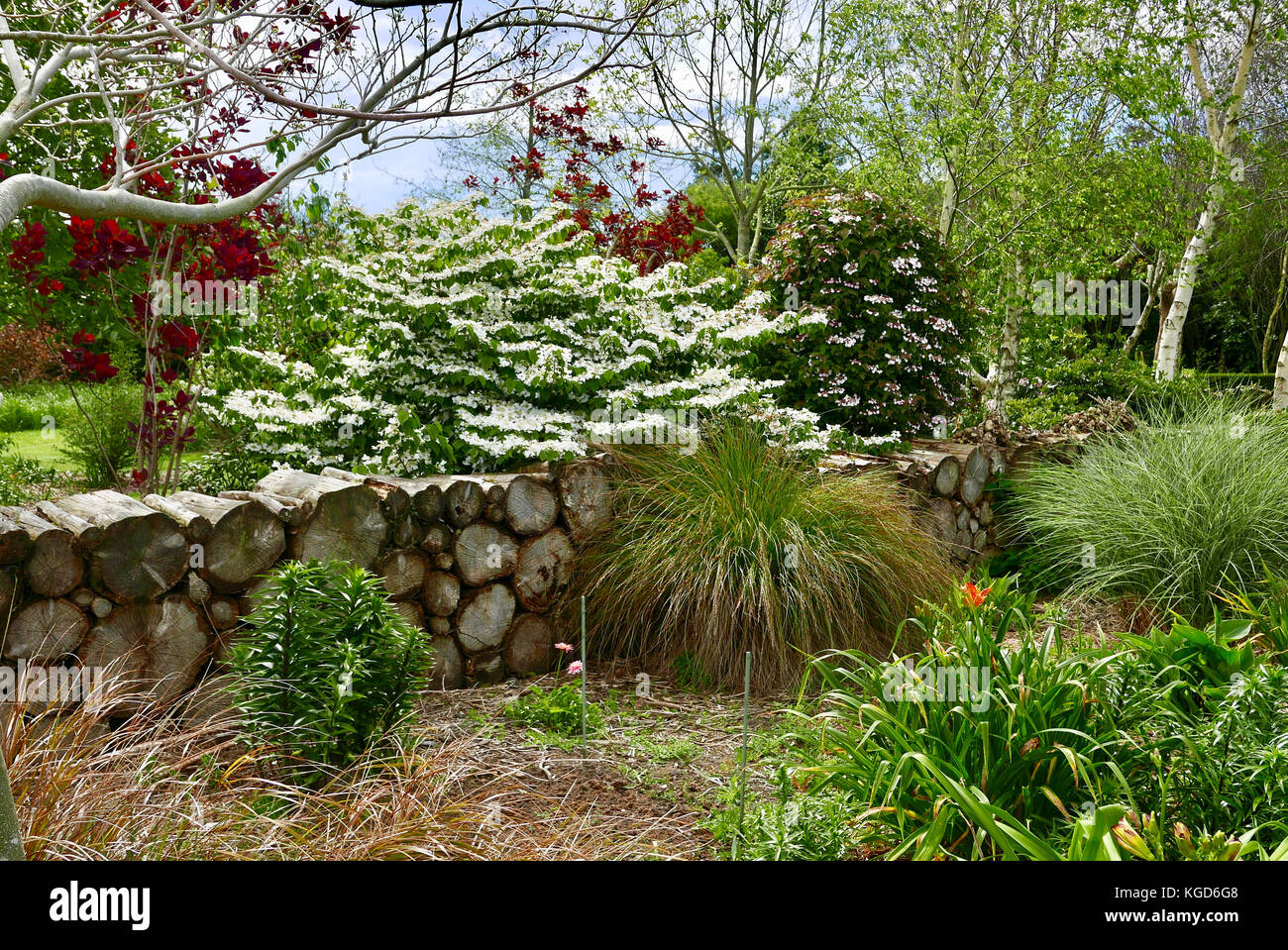 Wood log fences in formal garden Stock Photo - Alamy