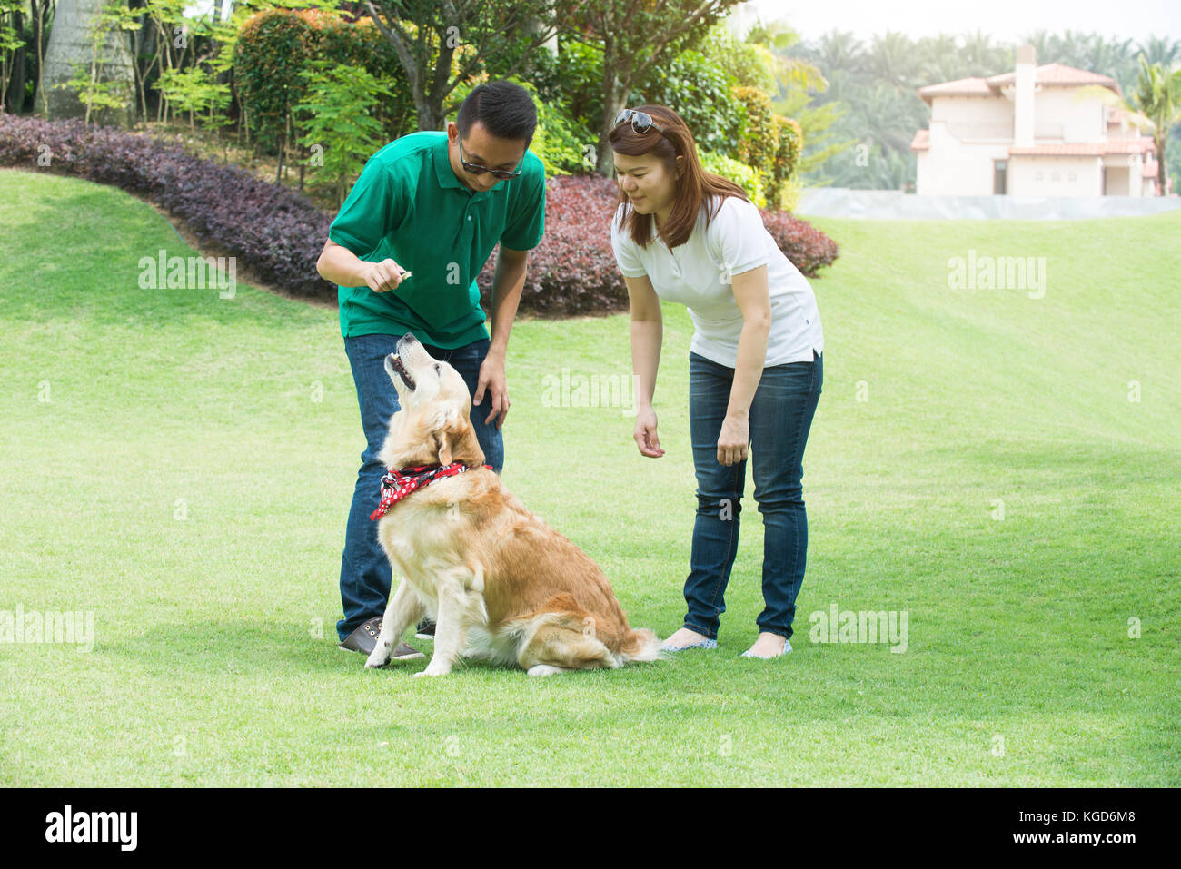 asian chinese couple with a dog Stock Photo - Alamy