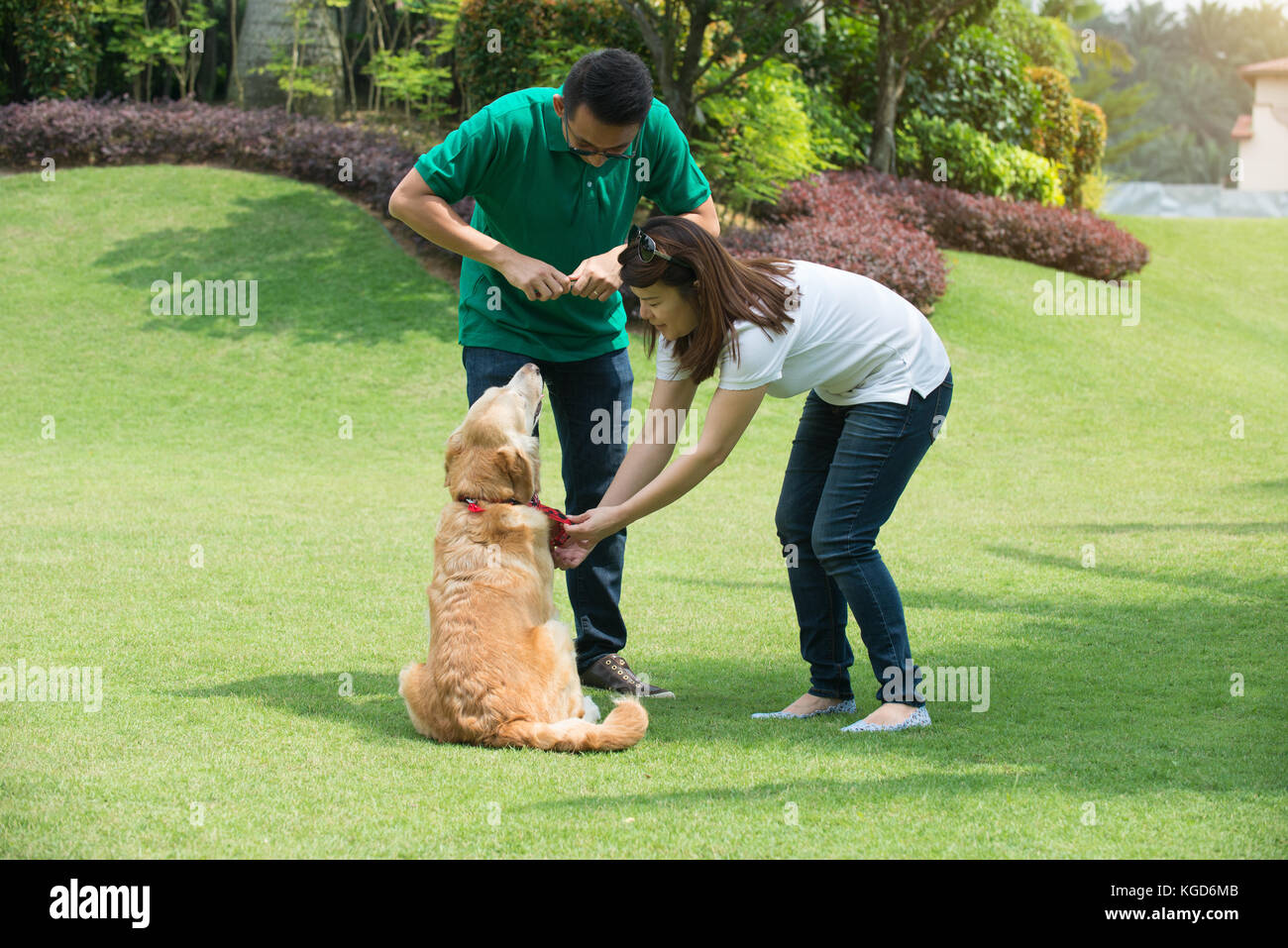 asian chinese couple with a dog Stock Photo - Alamy