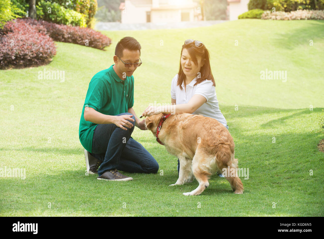 asian chinese couple with a dog Stock Photo - Alamy
