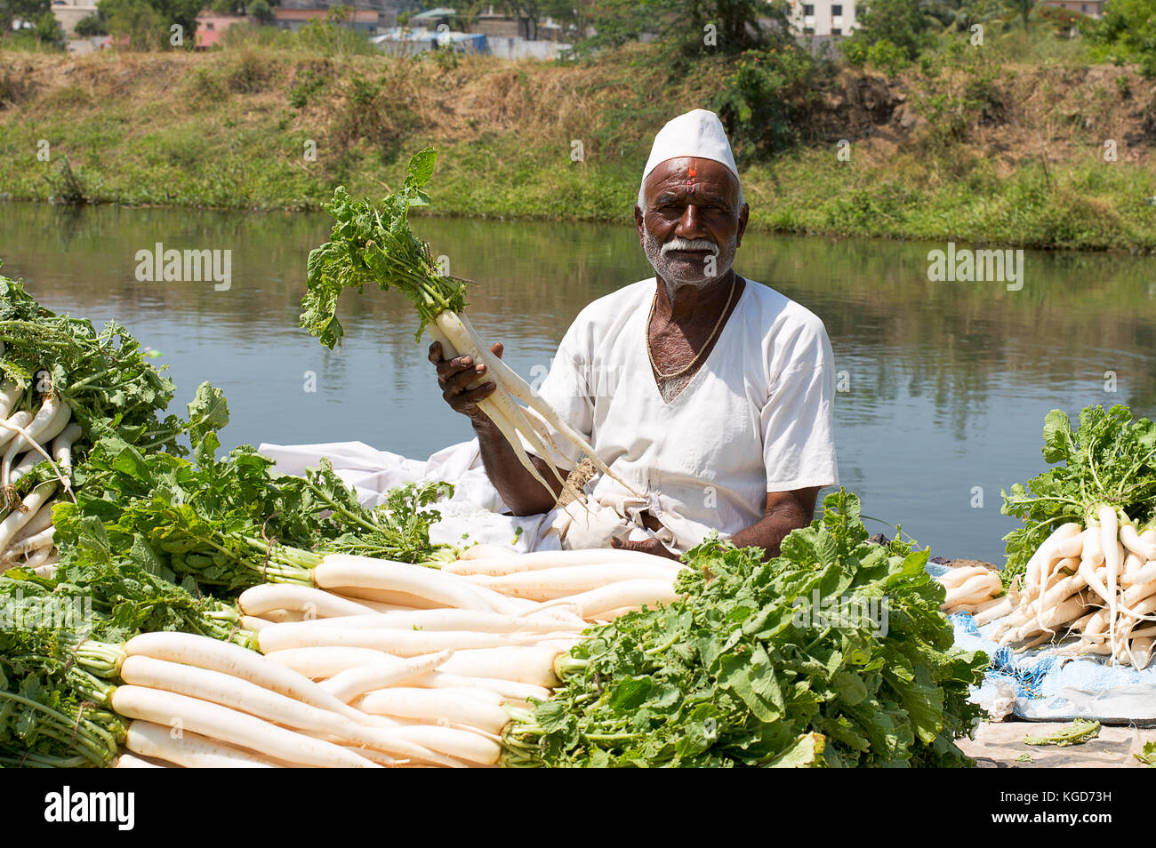 Indian farmer selling white radish Stock Photo - Alamy