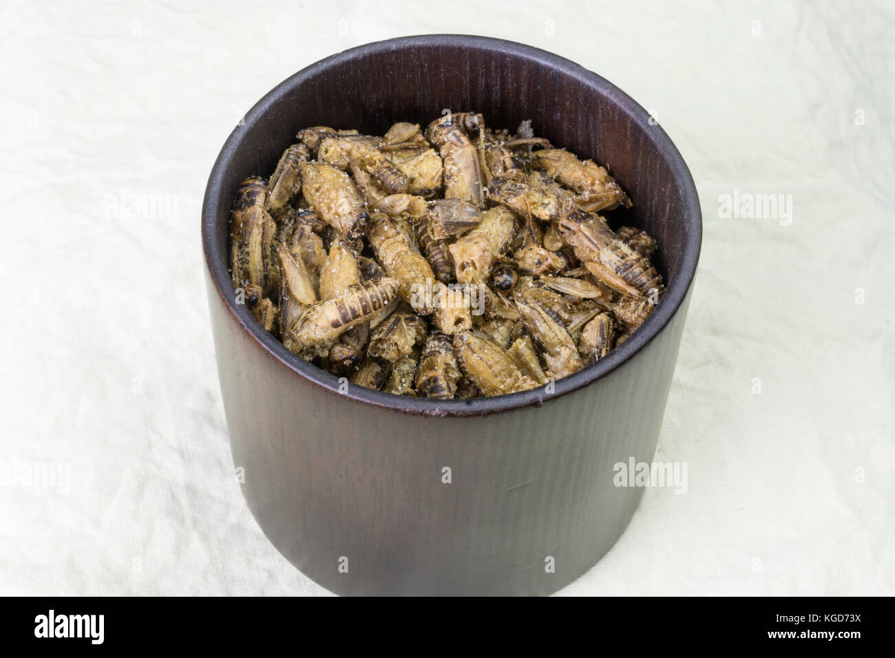 Edible dried Acheta crickets in dark brown wooden cup Stock Photo - Alamy