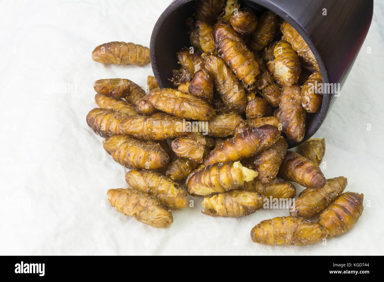 Dark chrysalis hi-res stock photography and images - Alamy