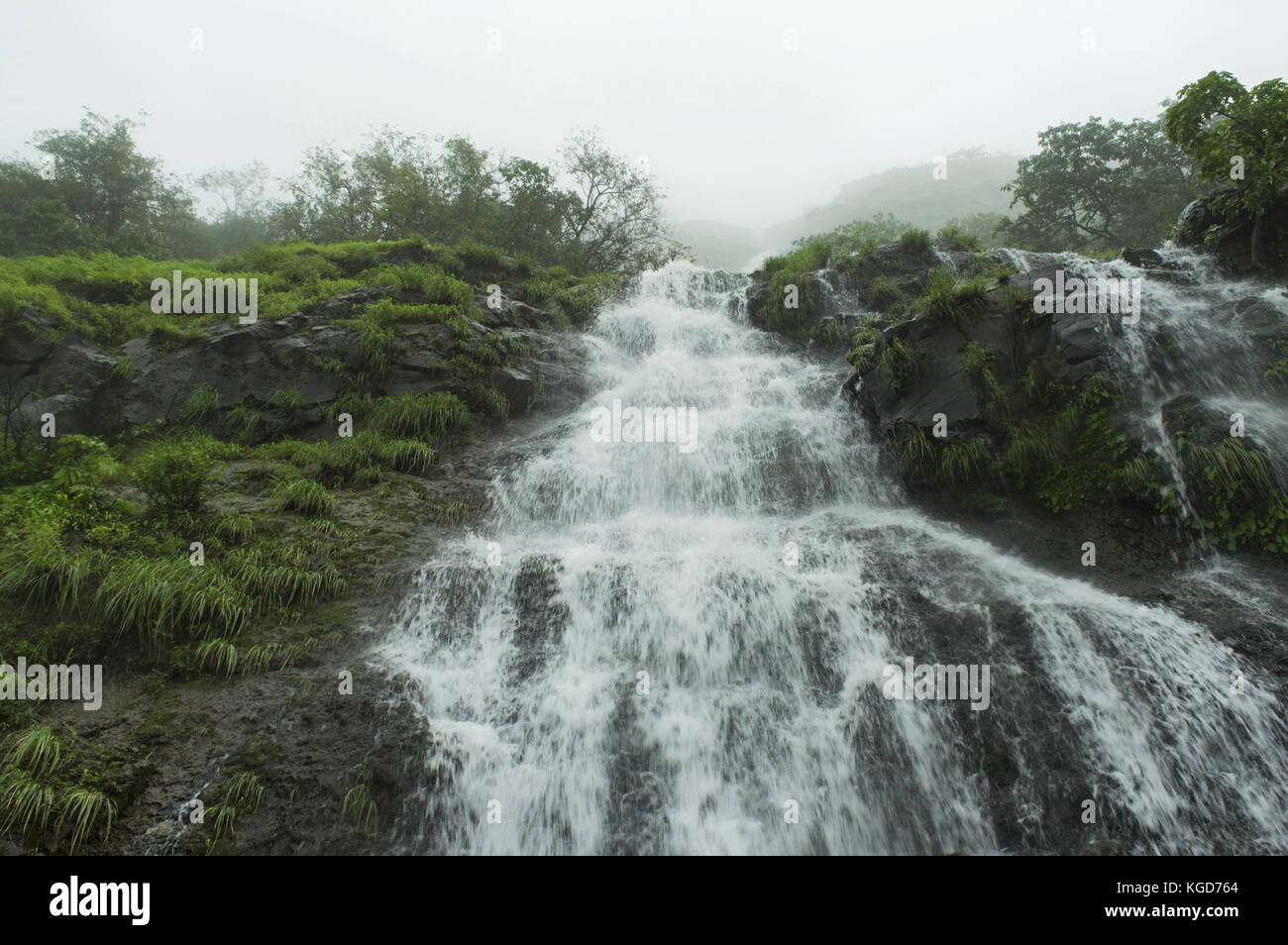 Waterfall at Tamhini Ghat, Pune, Maharashtra Stock Photo - Alamy