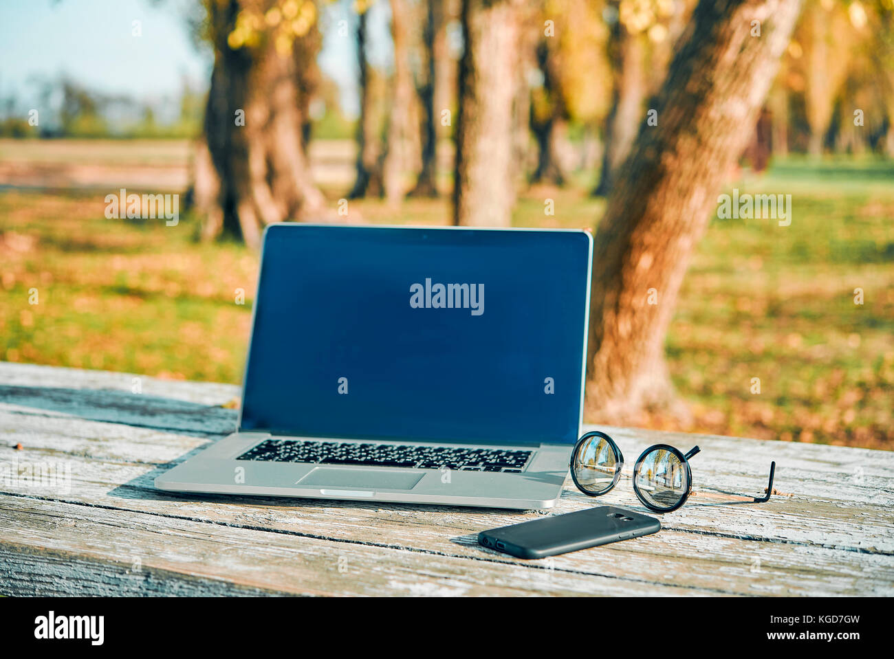 Laptop and nature hi-res stock photography and images - Alamy