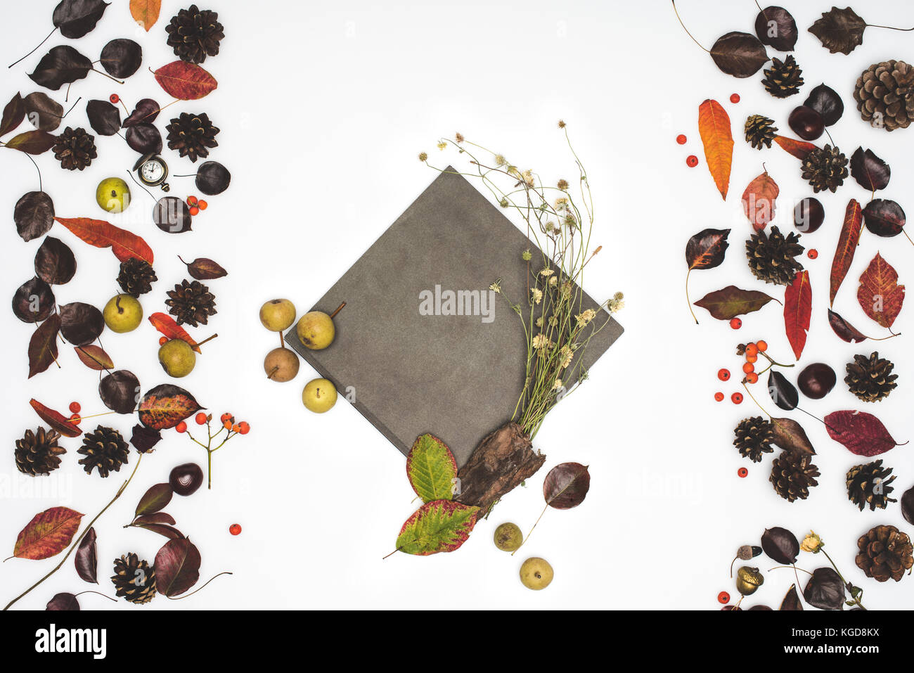 beautiful autumn composition Stock Photo - Alamy