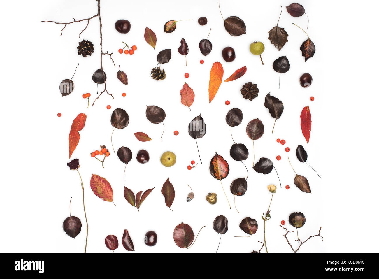 floral pattern from dried leaves Stock Photo - Alamy