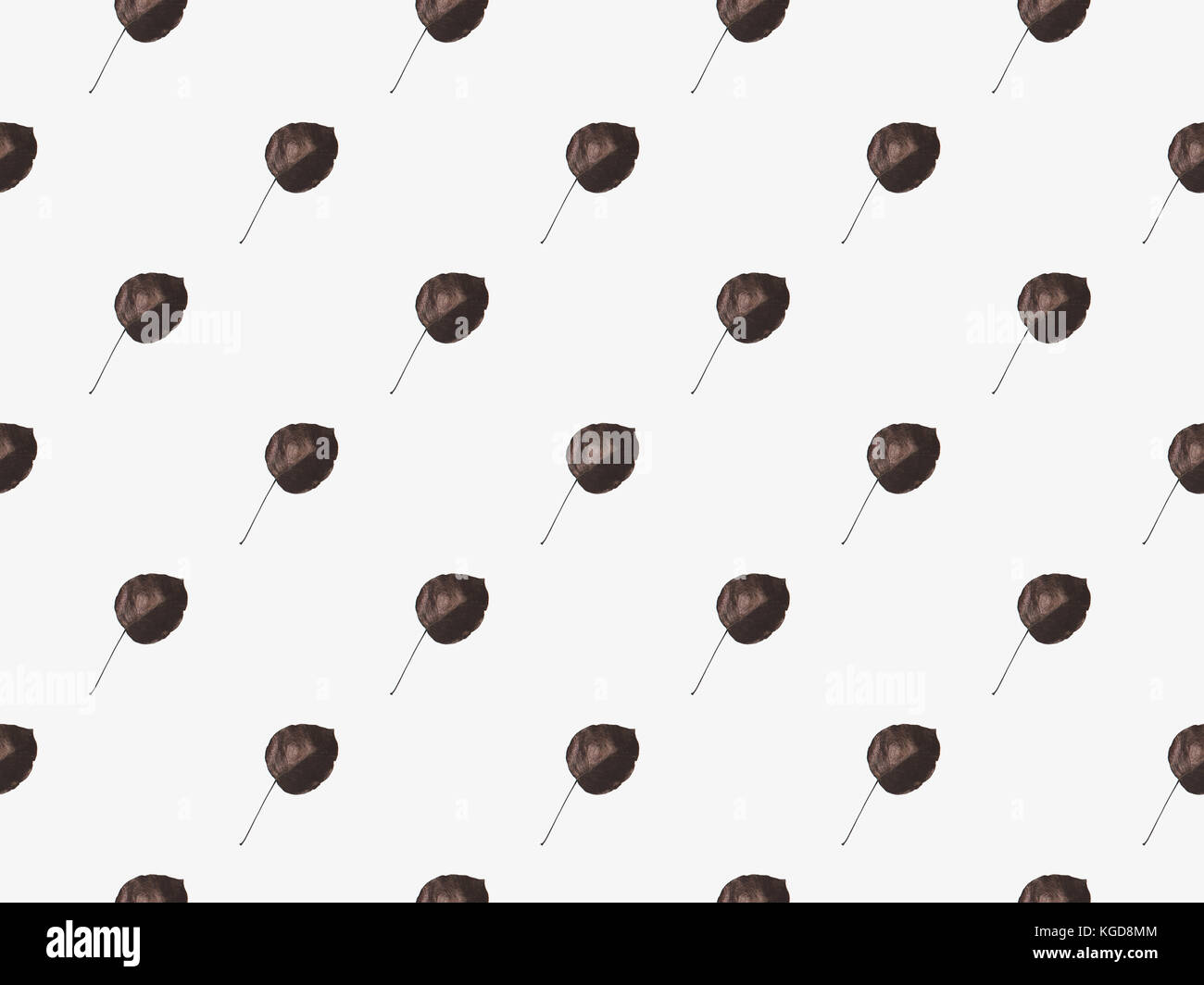 floral pattern from dried leaves Stock Photo - Alamy