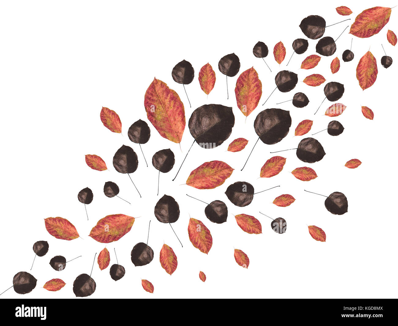 floral pattern from dried leaves Stock Photo - Alamy