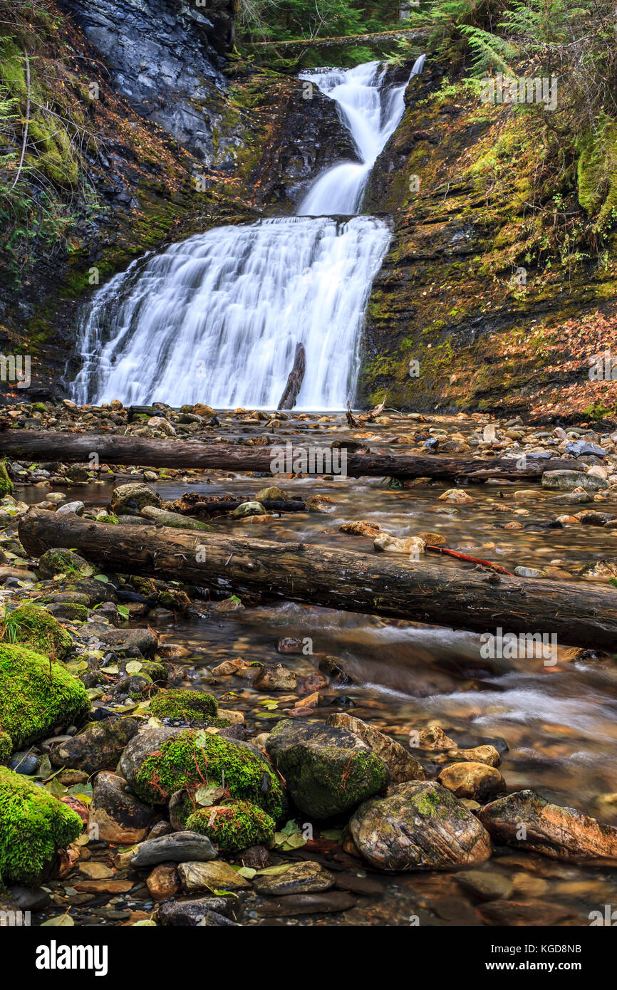 Log across creek hi-res stock photography and images - Alamy