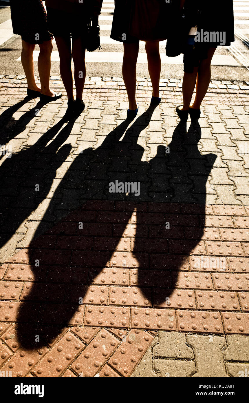 legs of four women standing and long shadows Stock Photo - Alamy