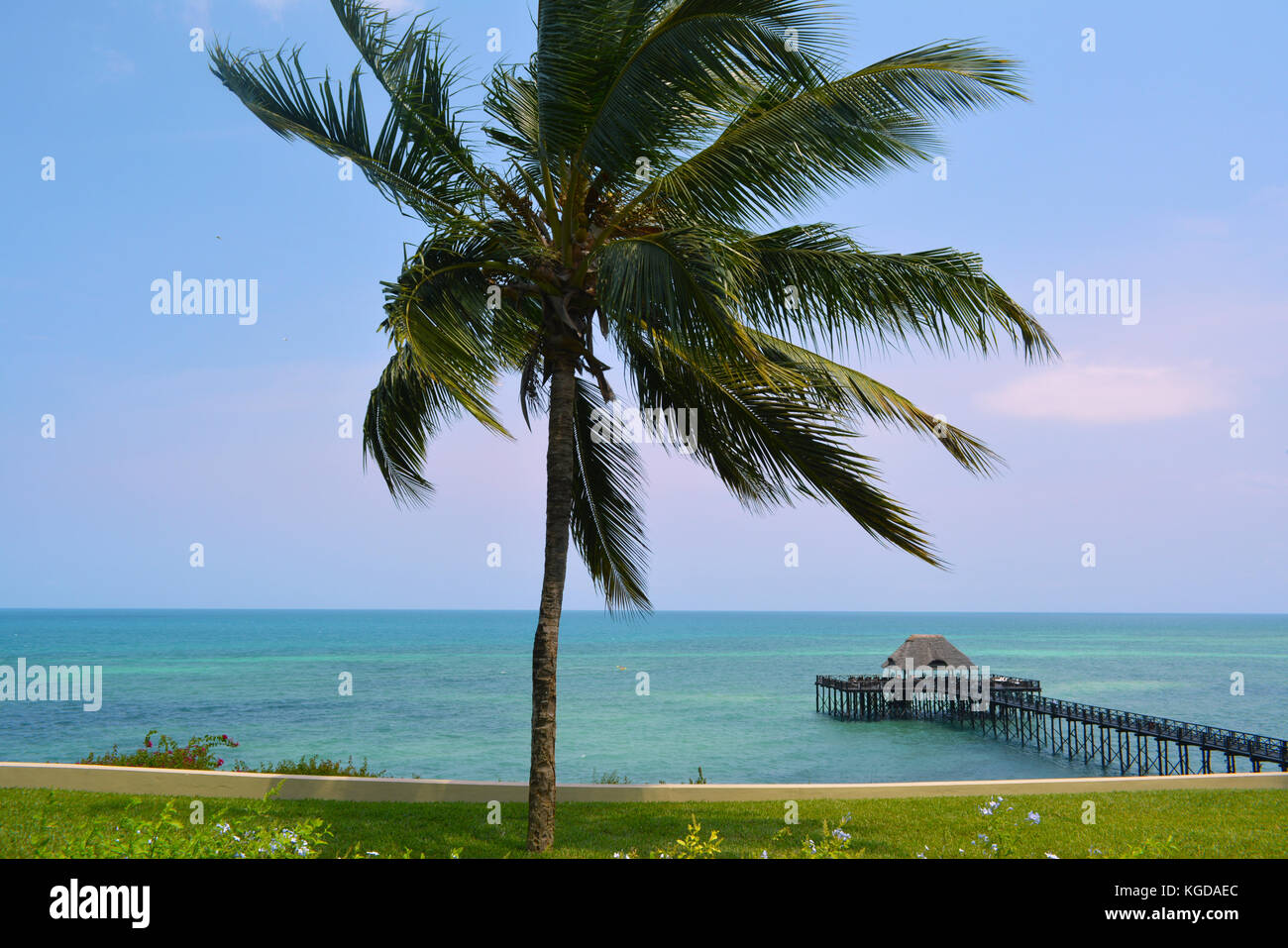 Horizon line trees hi-res stock photography and images - Alamy