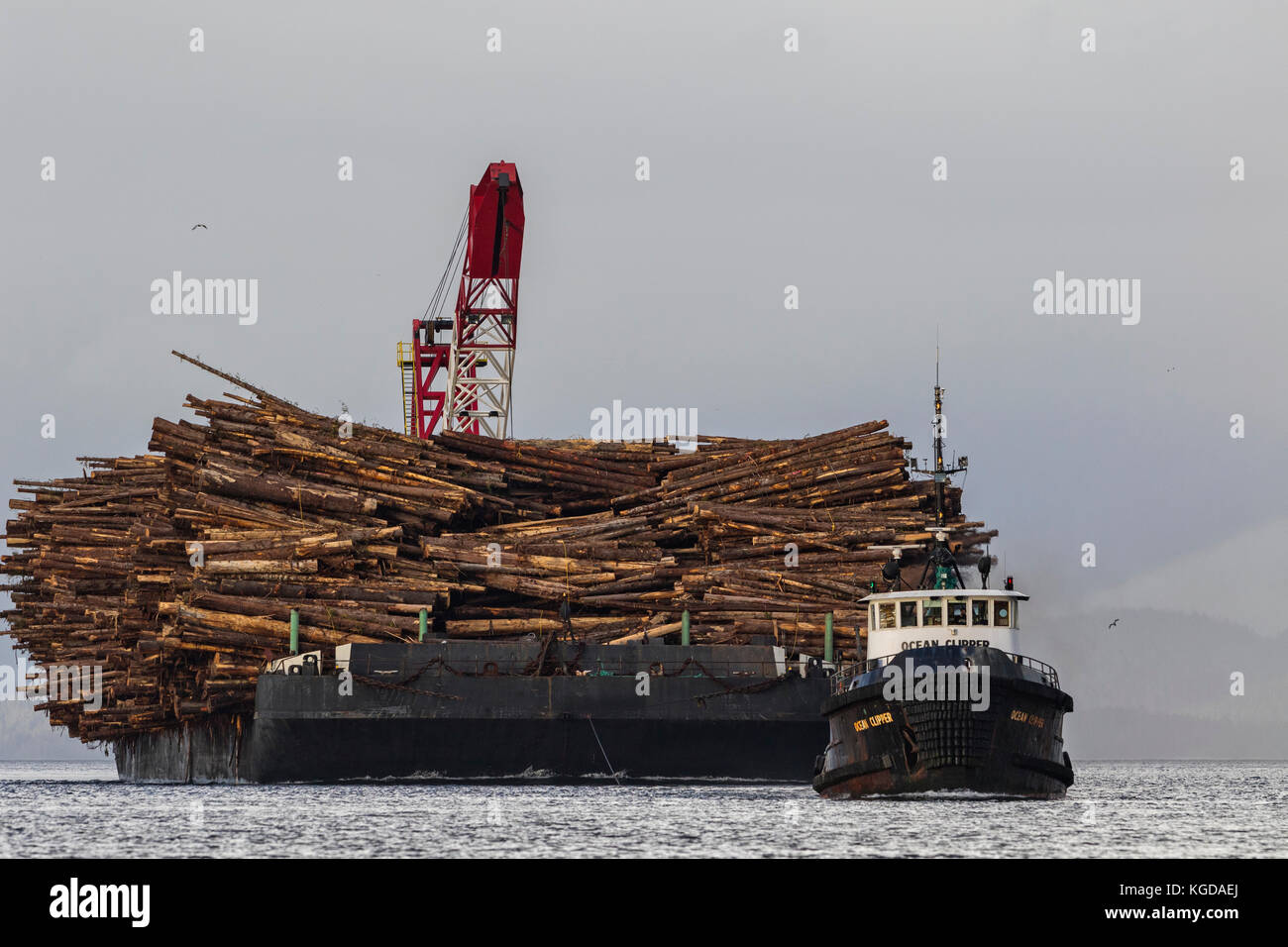 Ocean Clipper tug boat with a fully loaded log barge in tow going ...