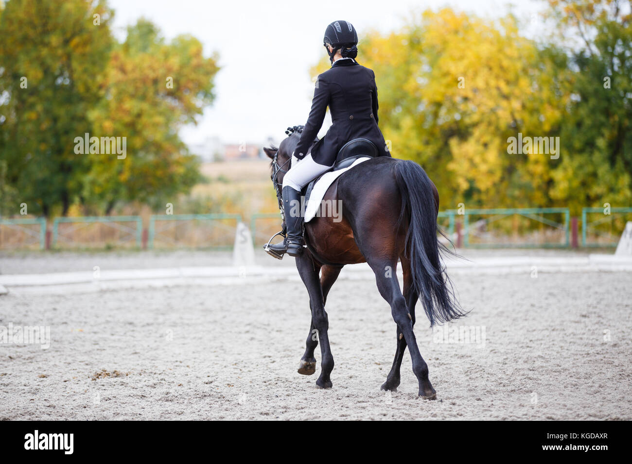 Young rider woman on bay horse performing advanced test on dressage ...