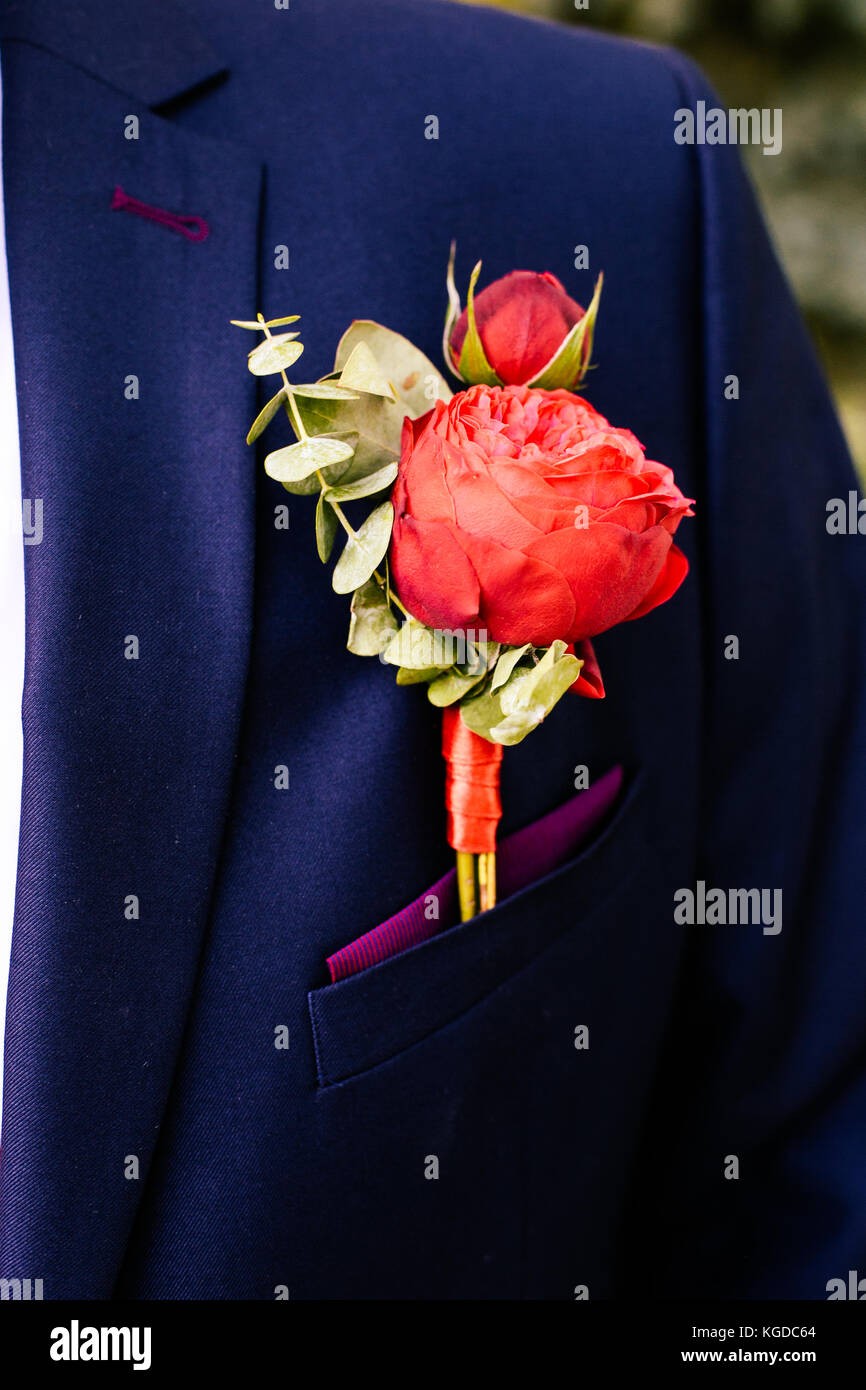 Rose gray coat hi-res stock photography and images - Alamy