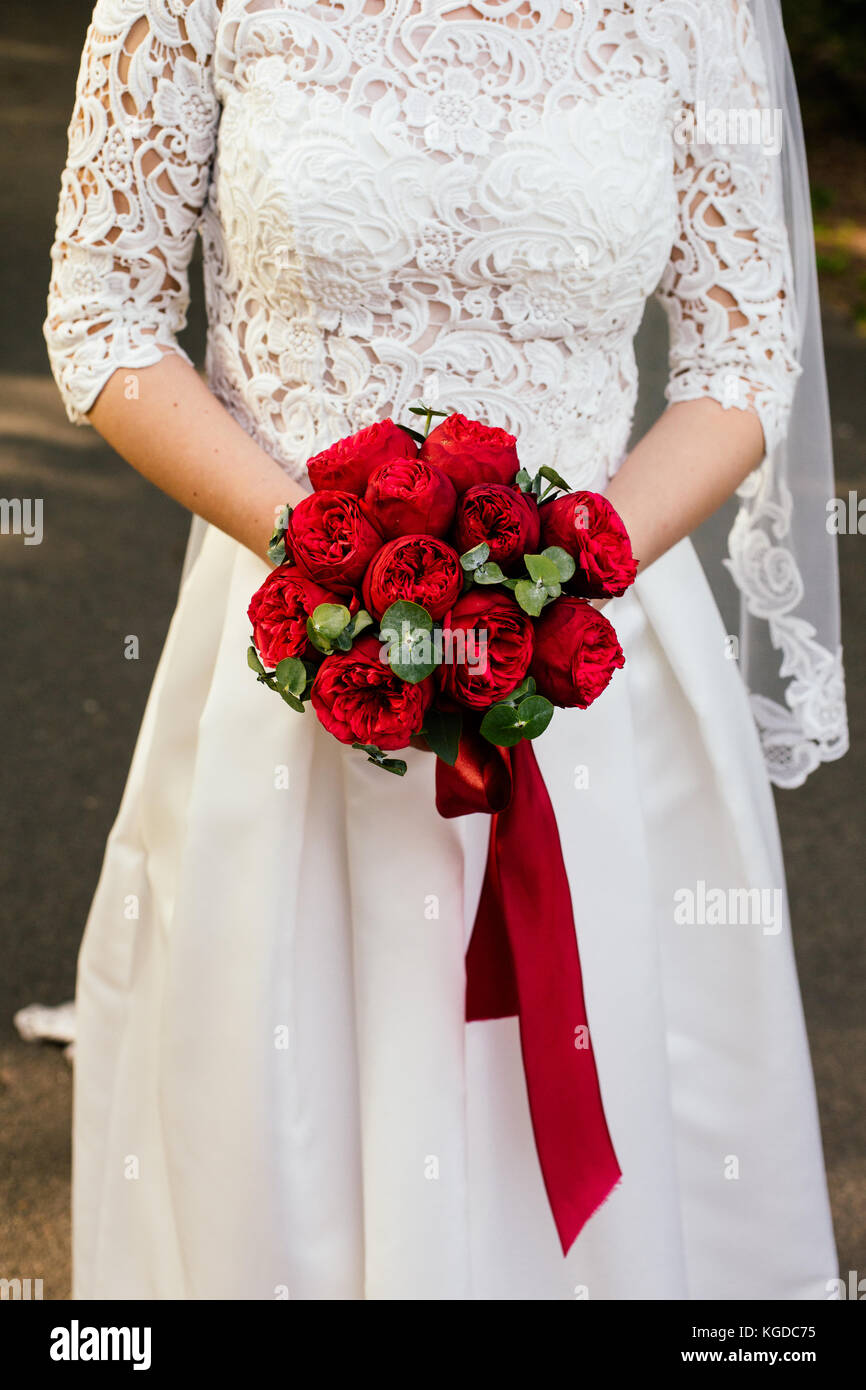 wedding bouquet of burgundy roses in the hands of the bride Stock Photo ...